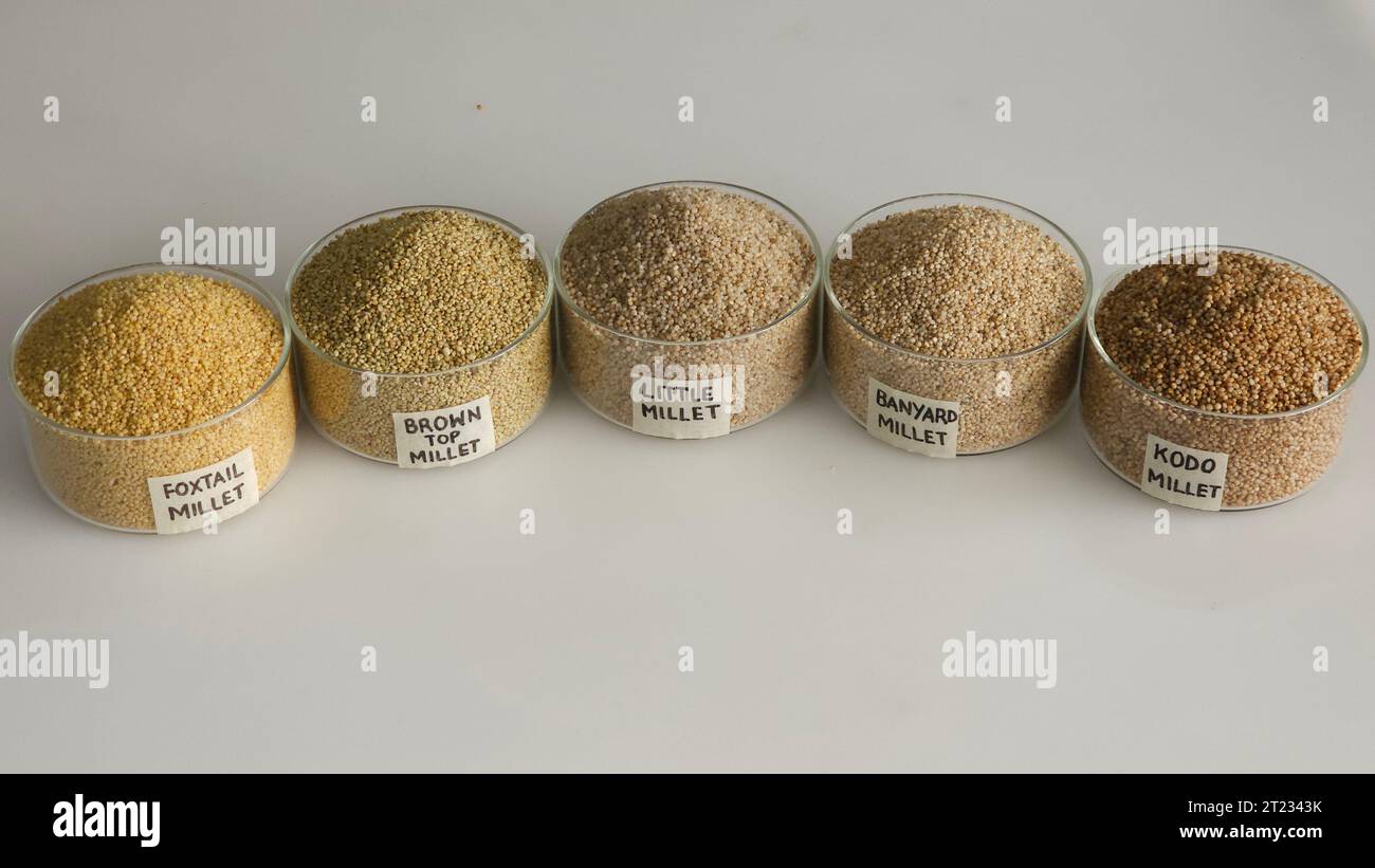 Siridhanya Millets or Five Positive Millets are a group of five grains ...