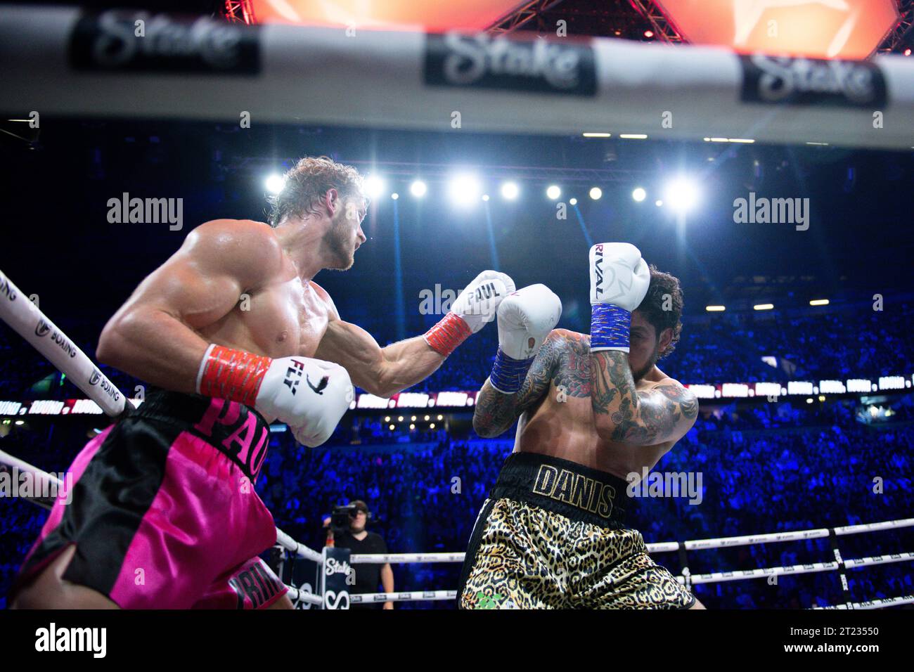 Dillon danis fight hi-res stock photography and images - Alamy