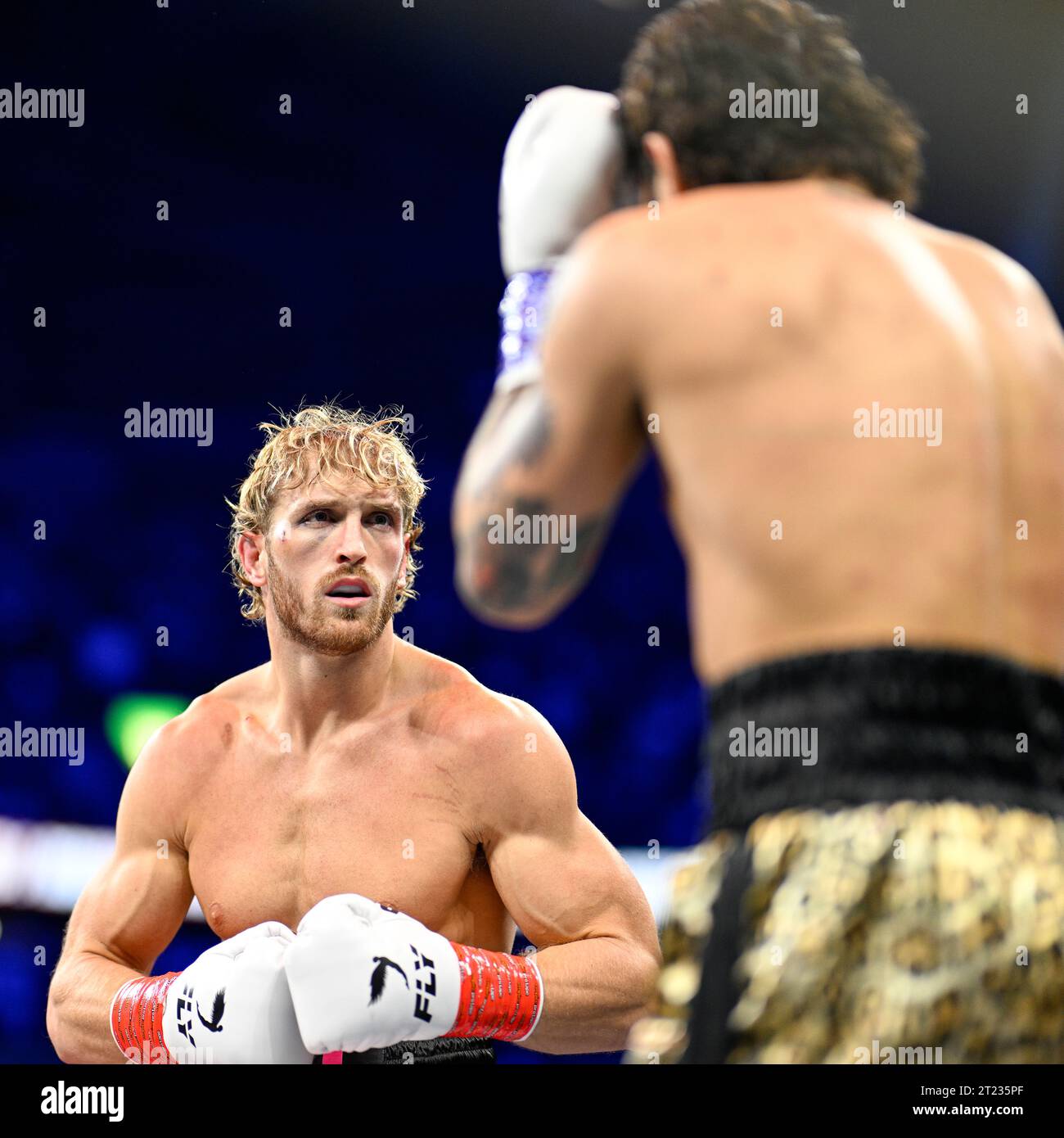 Dillon danis fight hi-res stock photography and images - Alamy