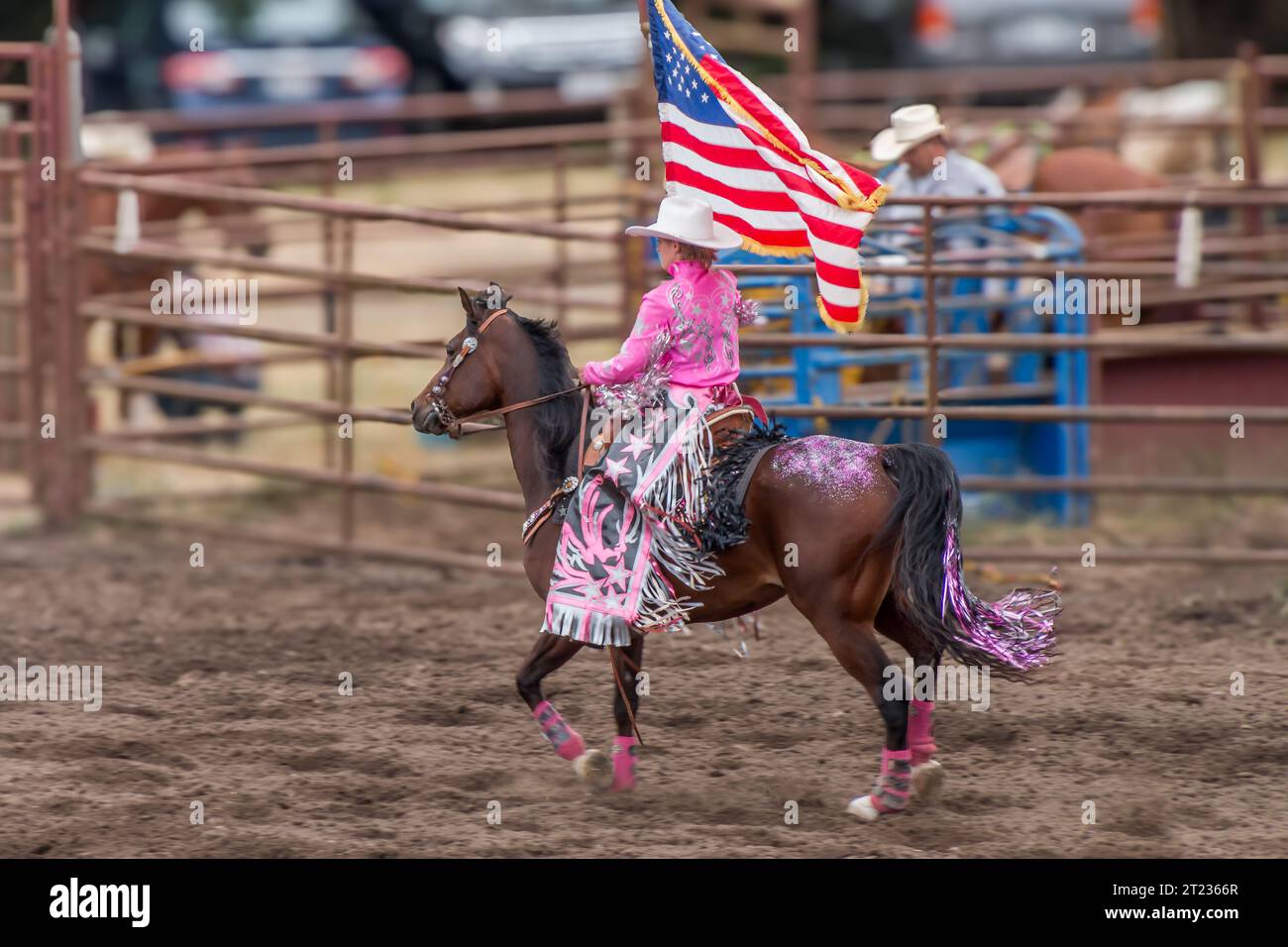 A cowgirl is riding a horse at a rodeo in a dirt arena. She is holding ...