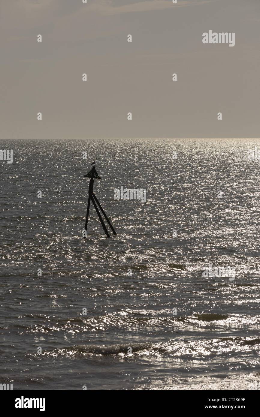 Tide marker on seaside beach Stock Photo - Alamy