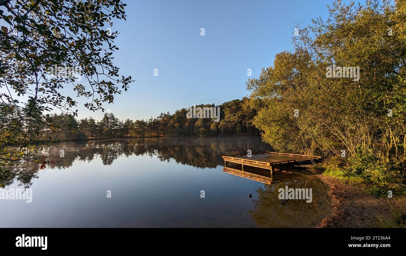 Thursley Common National Nature Reserve October Autumn sunrise golden ...