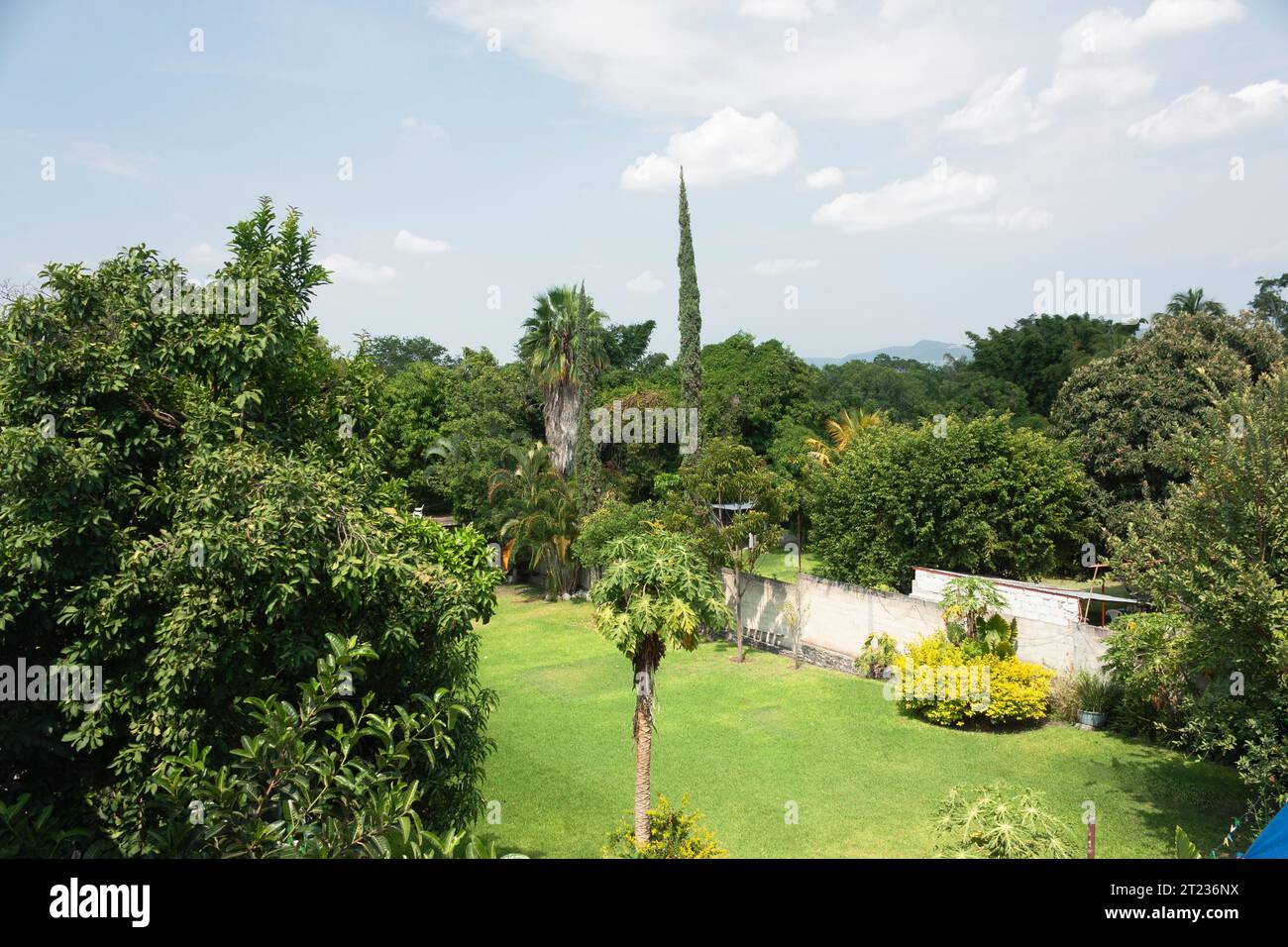 Outdoor garden in Xochitepec Morelos state of Mexico soil with lawn ...
