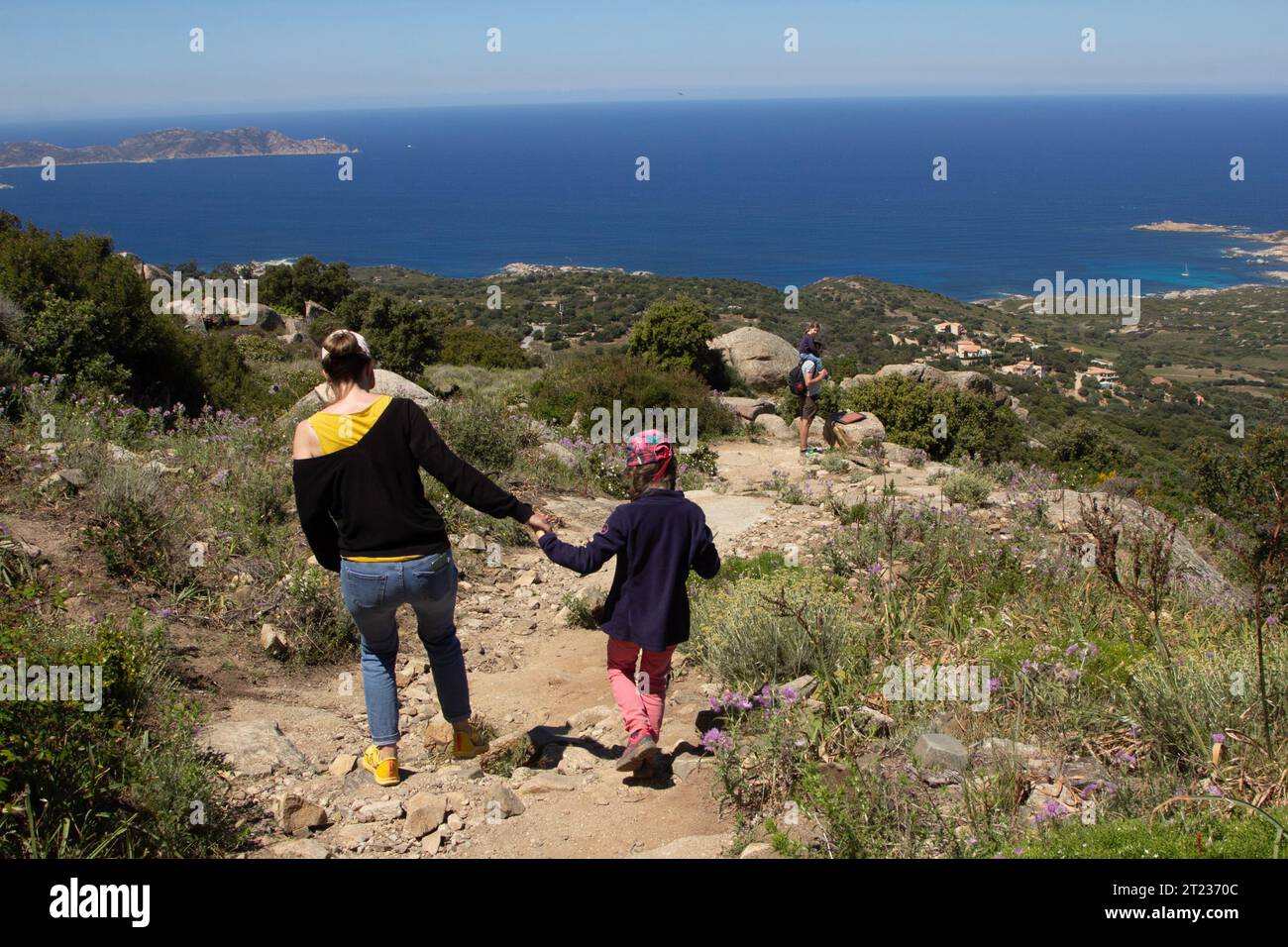 Occi background hi-res stock photography and images - Alamy