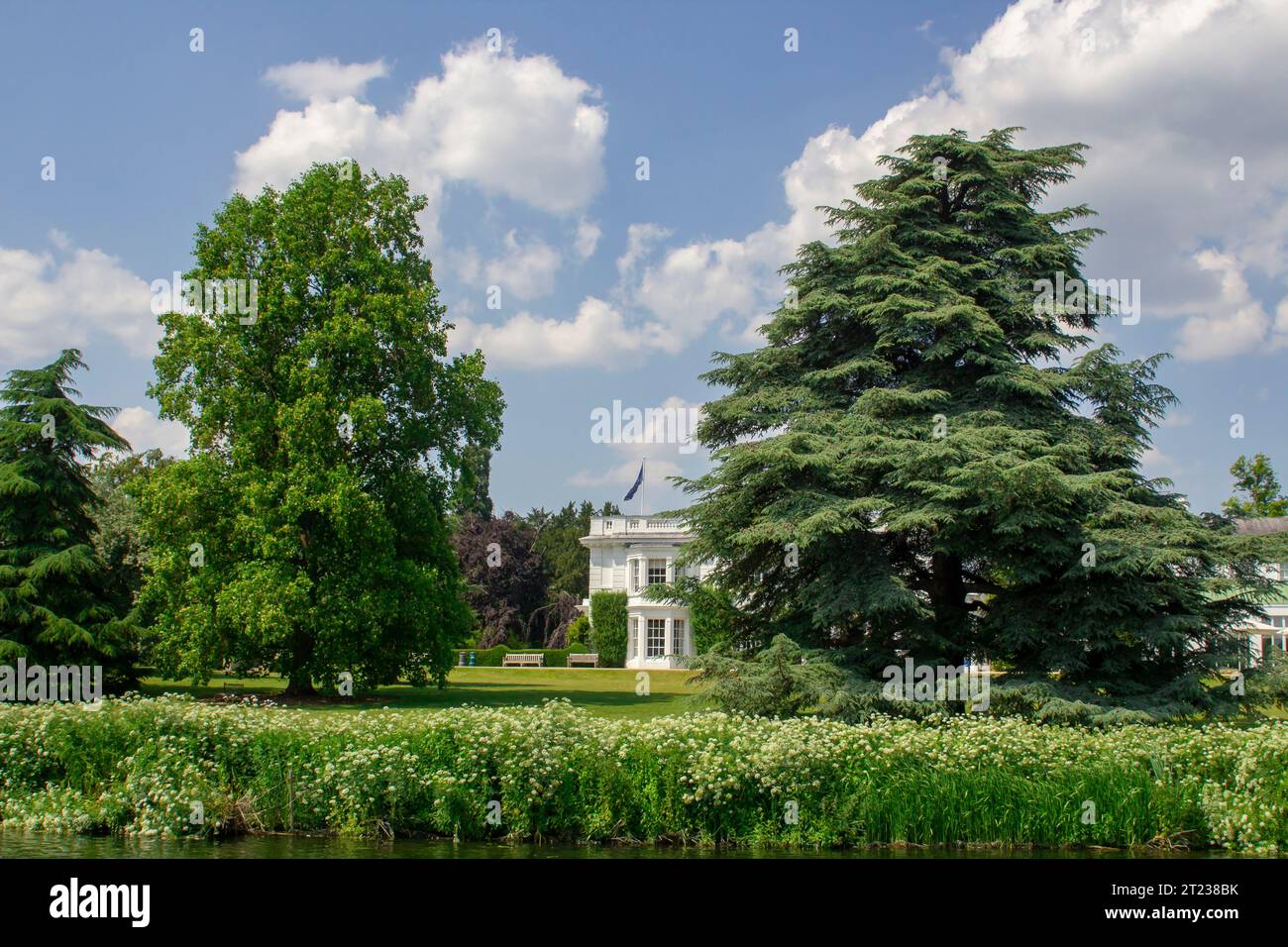 June 23 Beautifully mature tall trees, possibly a Spruce and Larch, on ...