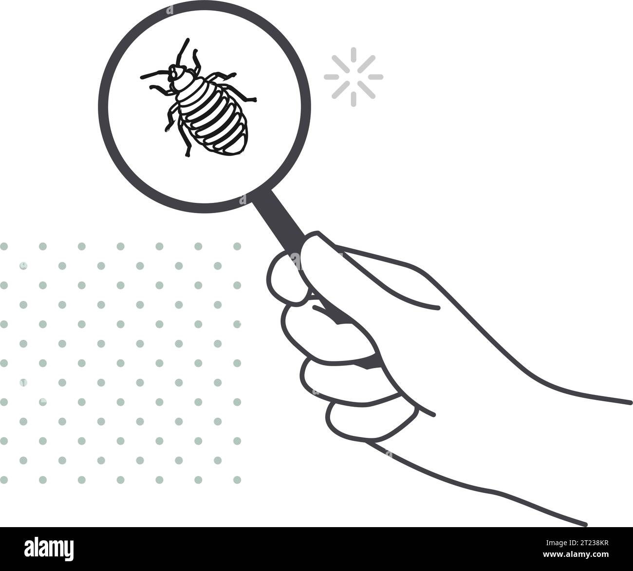 Remove Bed Bugs Genus Cimex Stock Illustration As Eps 10 File Stock Vector Image And Art Alamy