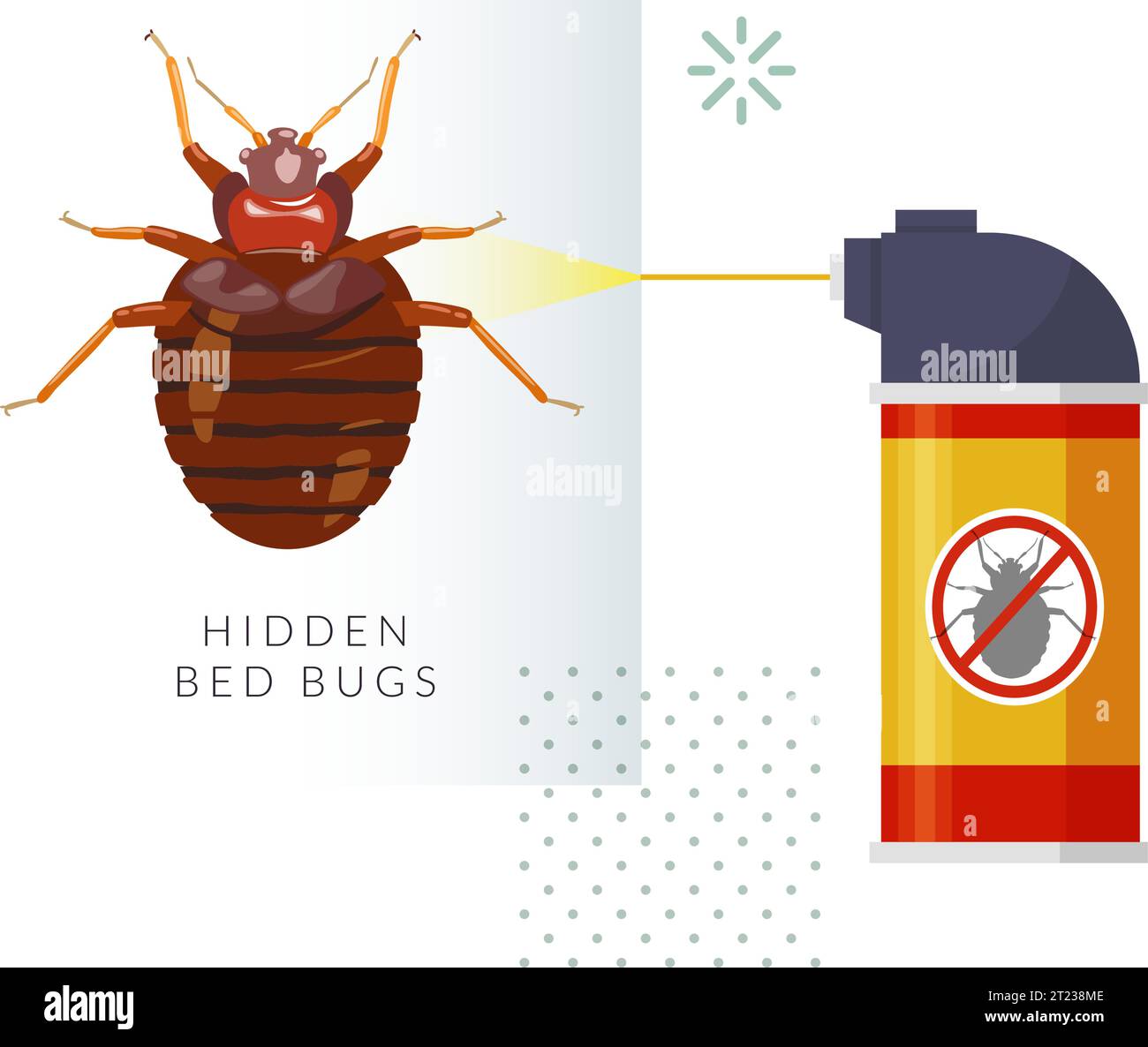 Remove Bed Bugs - Genus Cimex - Stock Illustration as EPS 10 File Stock ...