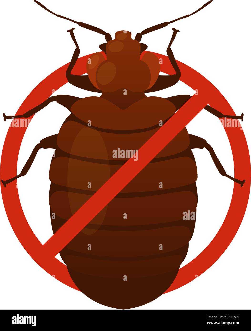 Bed Bugs - Genus Cimex - Stock Illustration as EPS 10 File Stock Vector ...