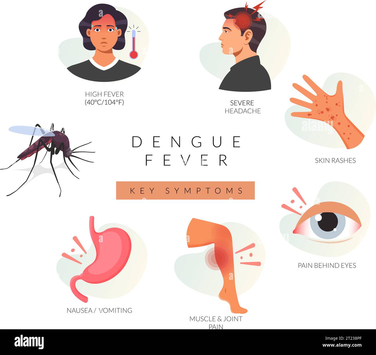 Dengue fever prevention Stock Vector Images - Alamy