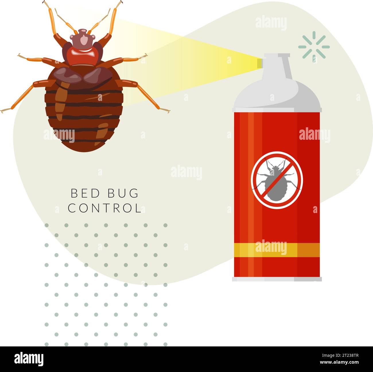 Remove Bed Bugs - Genus Cimex - Stock Illustration as EPS 10 File Stock ...