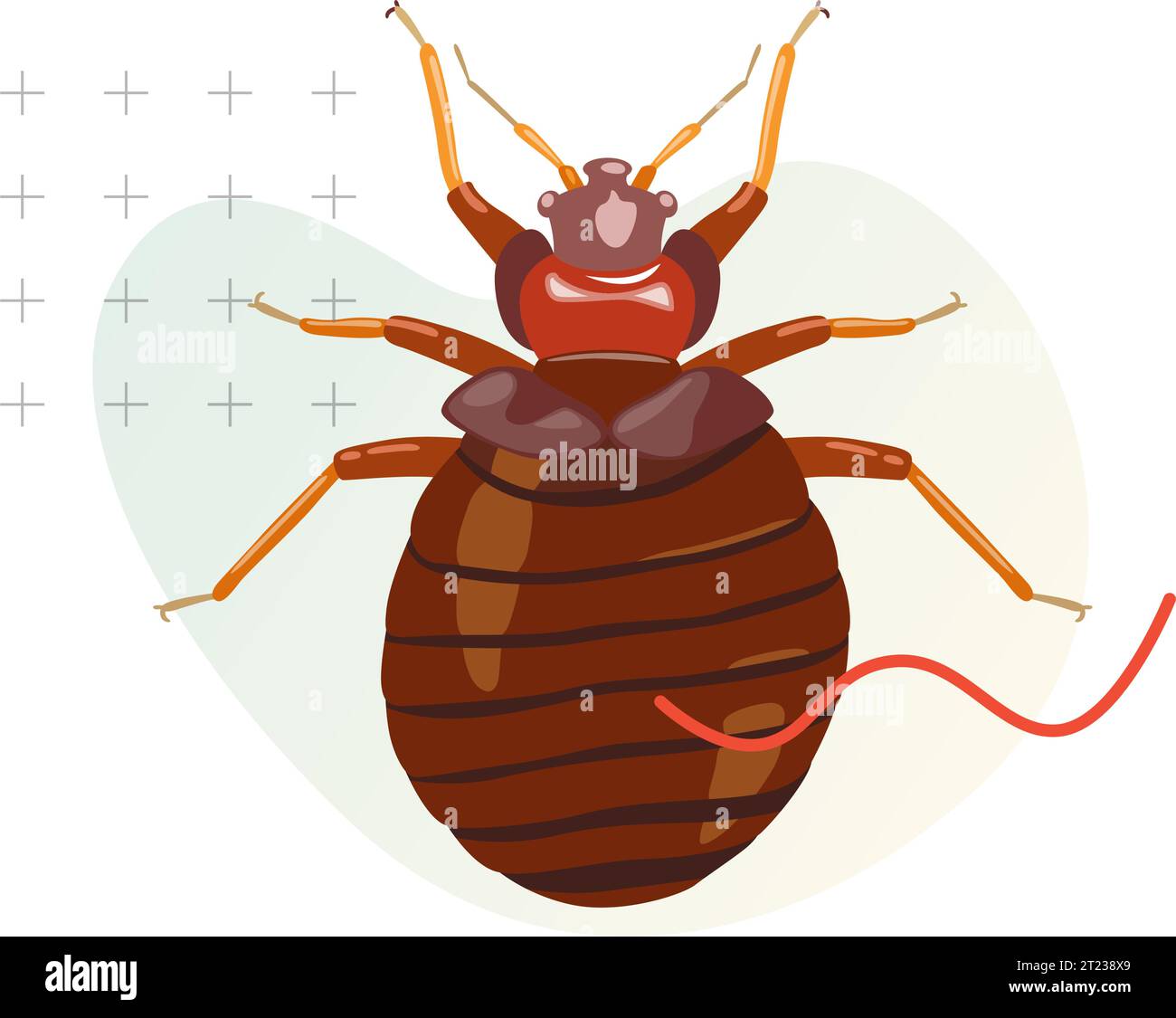 Detecting an insect Stock Vector Images - Alamy