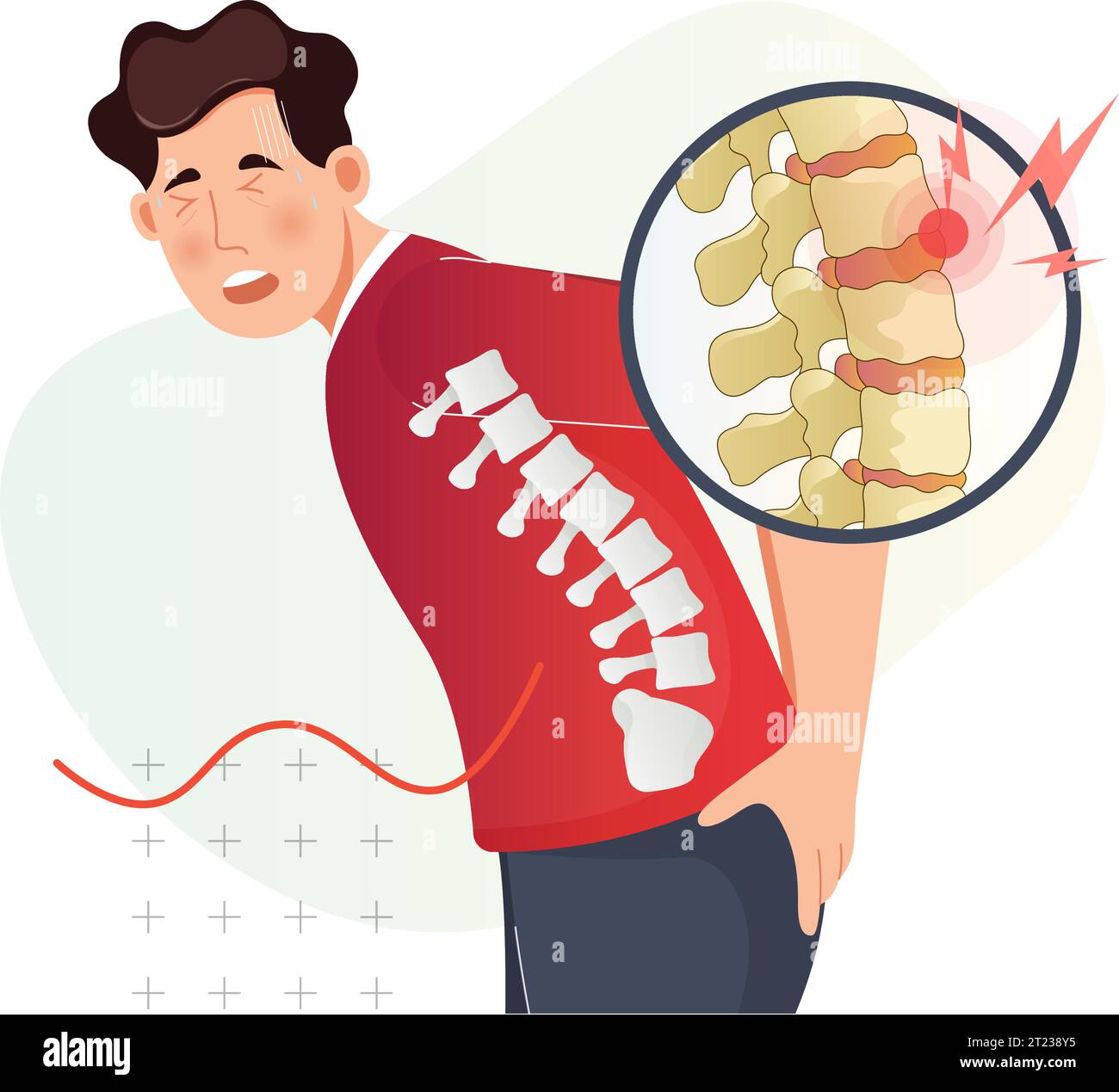 Lower body anatomy Stock Vector Images - Alamy