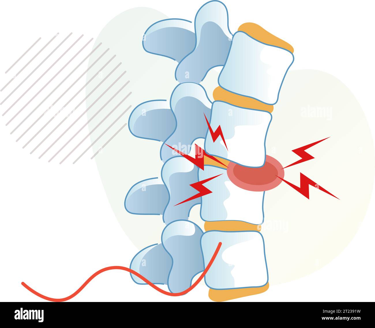 Back young muscle man Stock Vector Images - Alamy