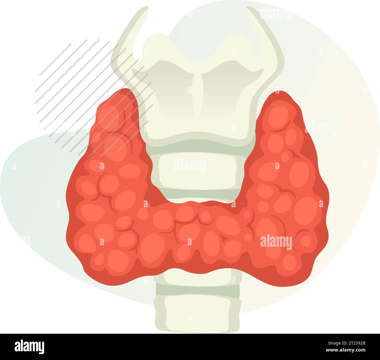 Endocrinology icon hi-res stock photography and images - Alamy