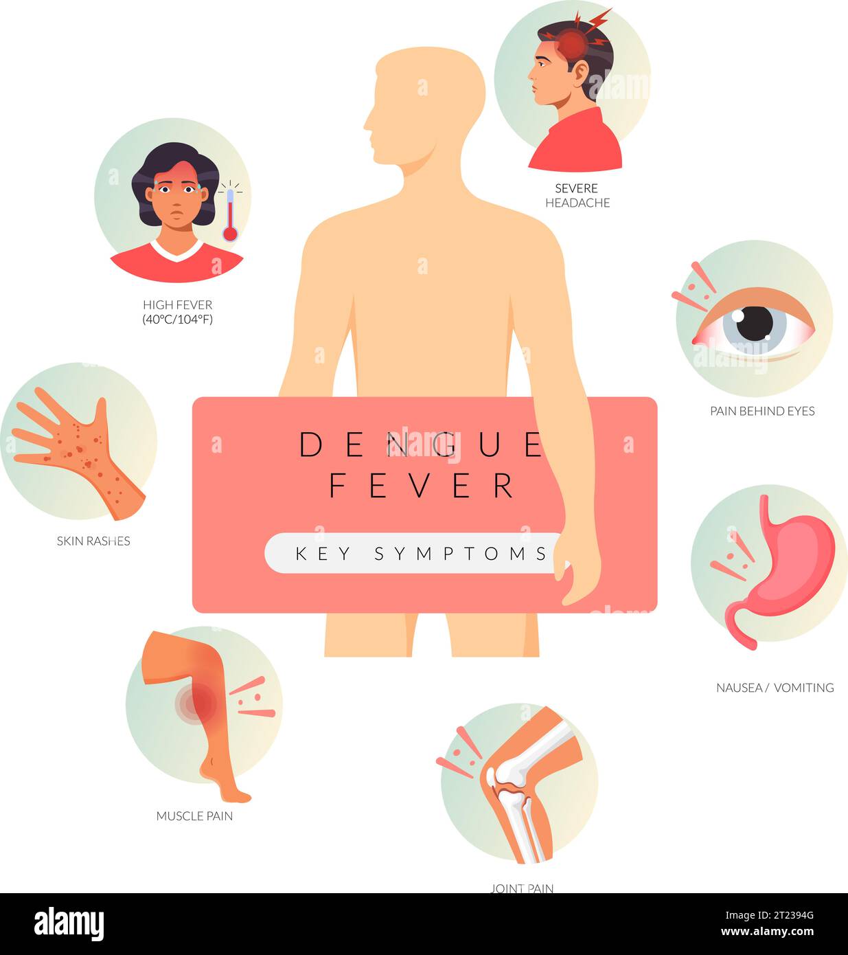 Dengue fever prevention Stock Vector Images - Alamy