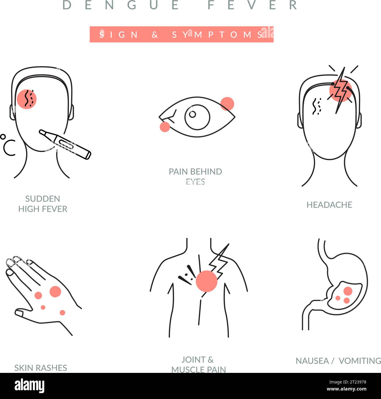 Dengue Fever Prevention Stock Vector Images Alamy