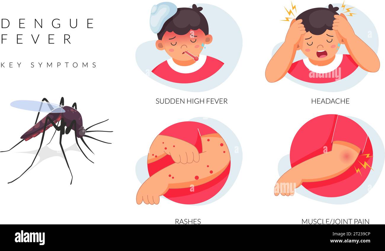 Dengue fever prevention Stock Vector Images - Alamy