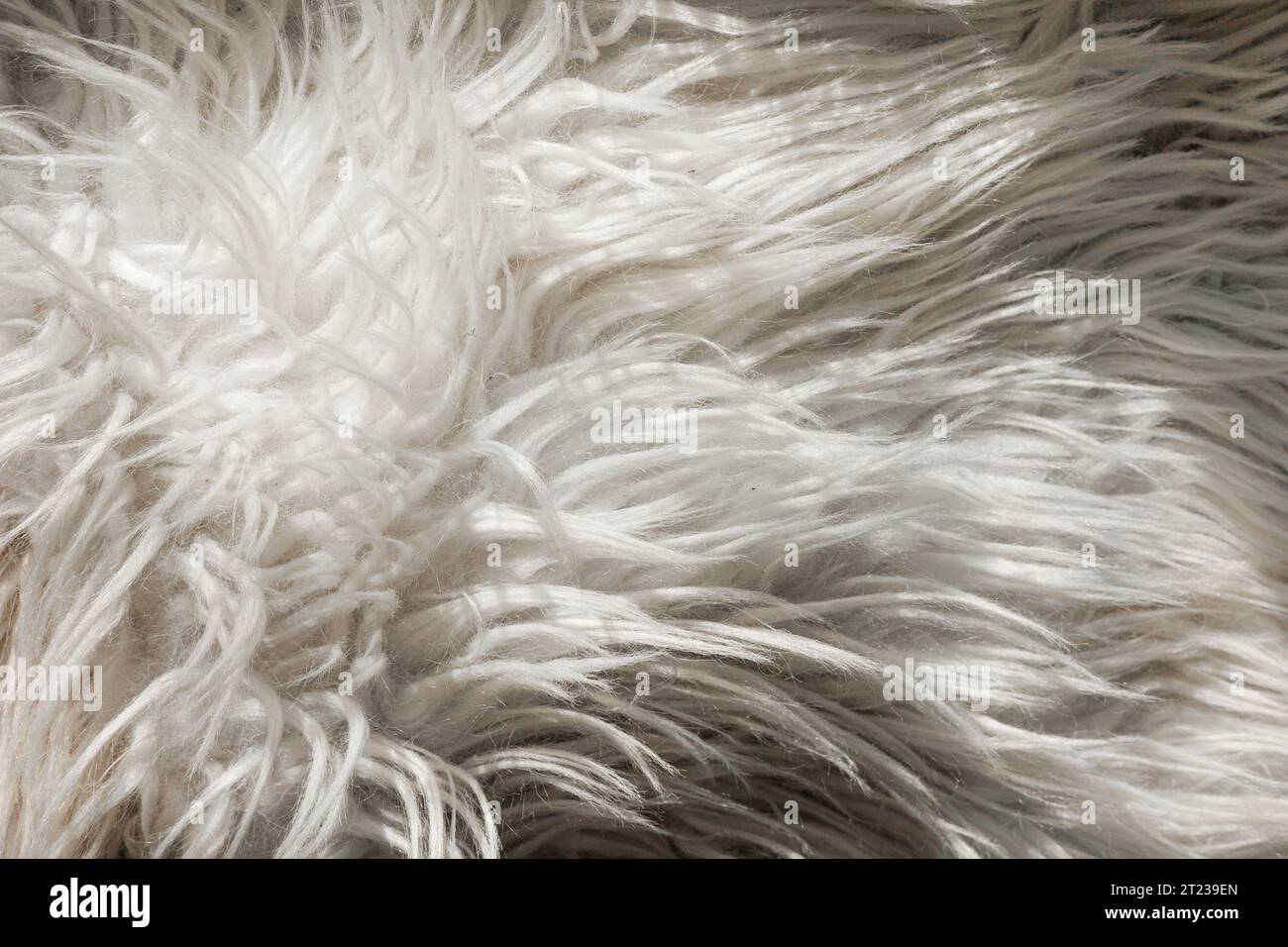 Close up artificial fluffy white-grey fabric fur, wool shaggy carpet ...