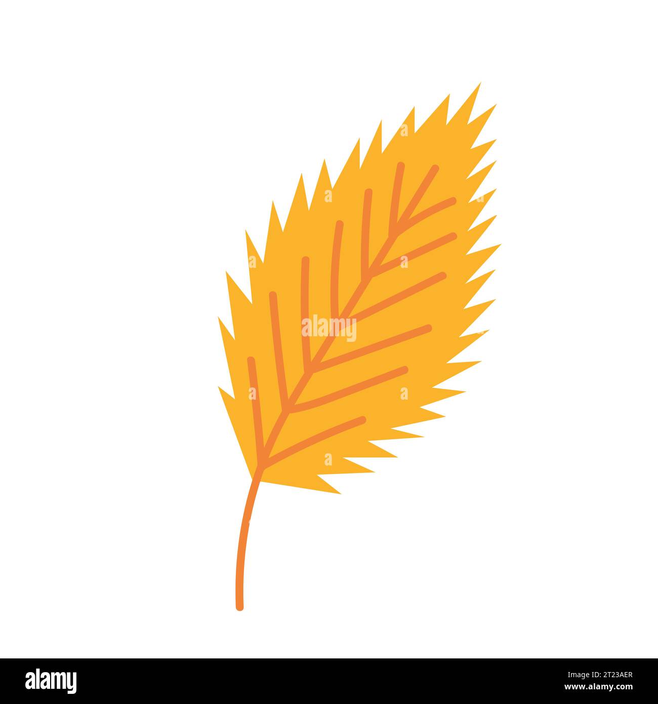 Orange tree in botanical Stock Vector Images - Alamy