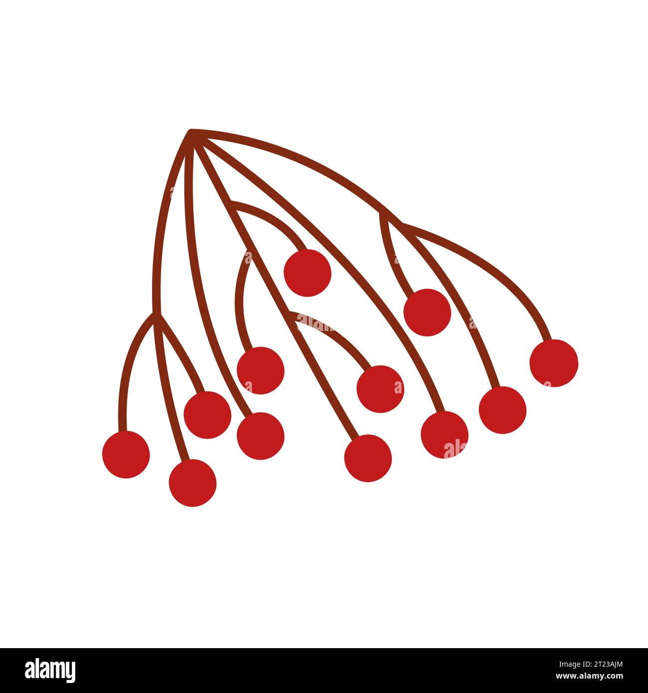 Red rowan berries mountain Stock Vector Images - Alamy