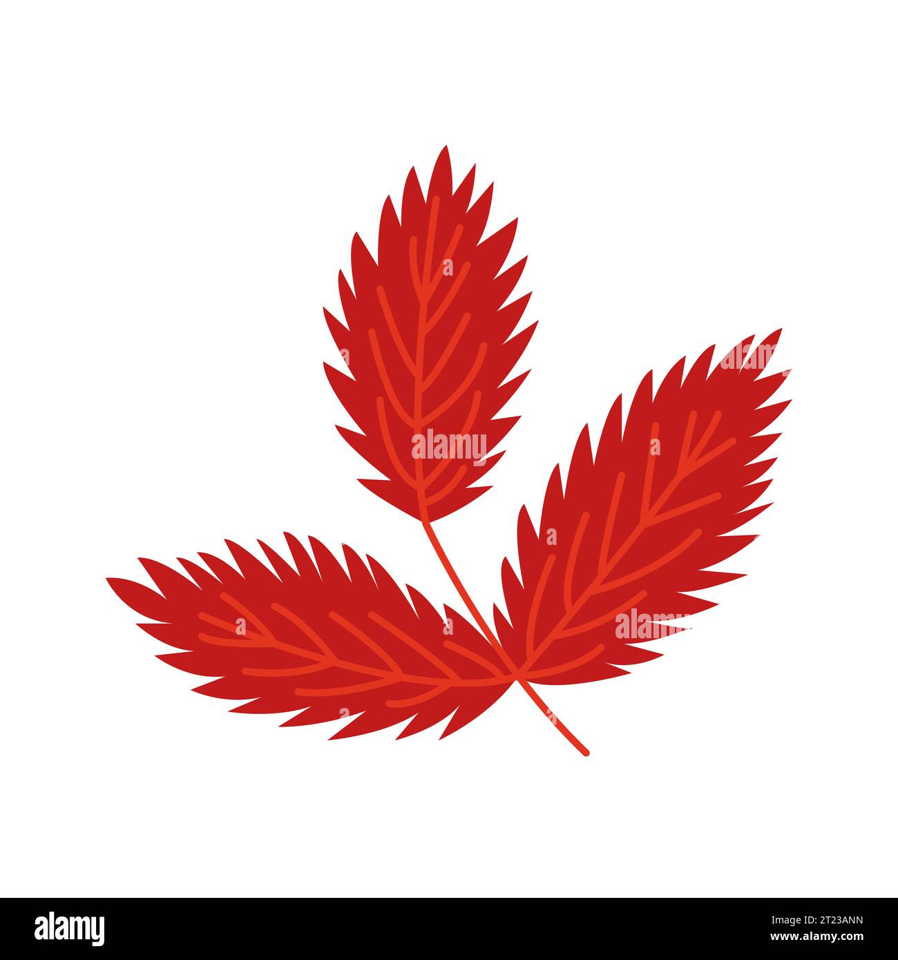 October horse Cut Out Stock Images & Pictures - Alamy