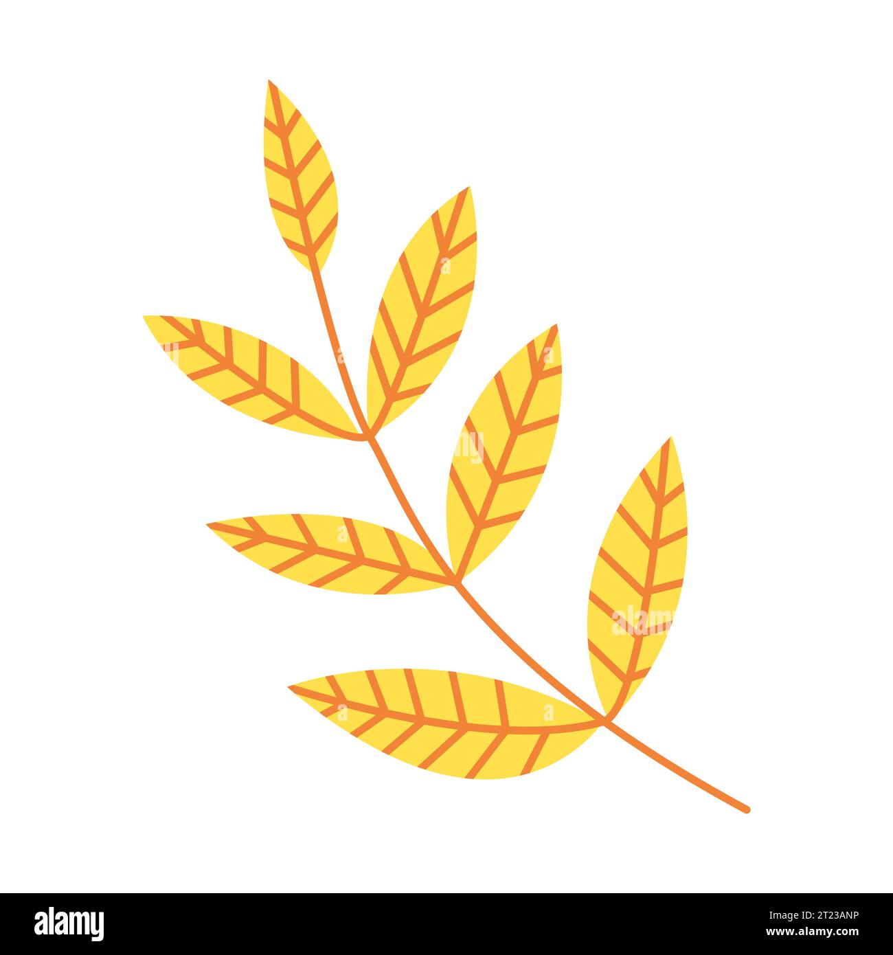 Ash tree botanical Stock Vector Images - Alamy