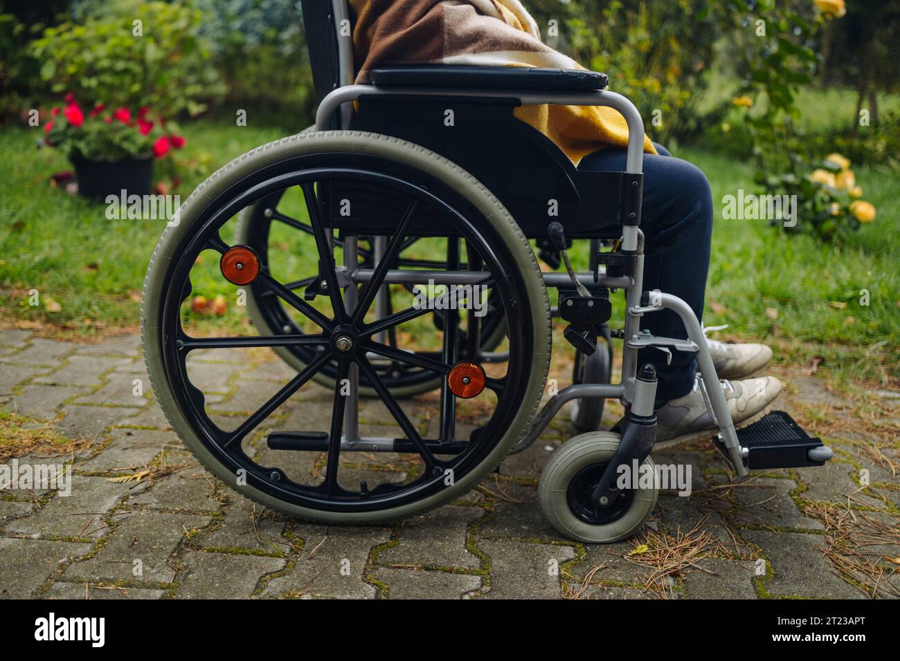 Close-up of female hand on wheel of wheelchair during walk in park ...
