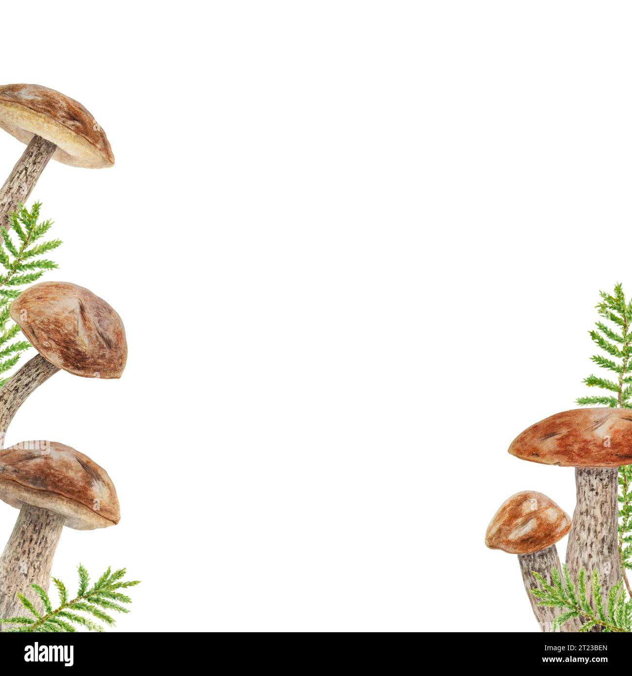 Wild mushroom and moss watercolor hand drawn botanical realistic ...