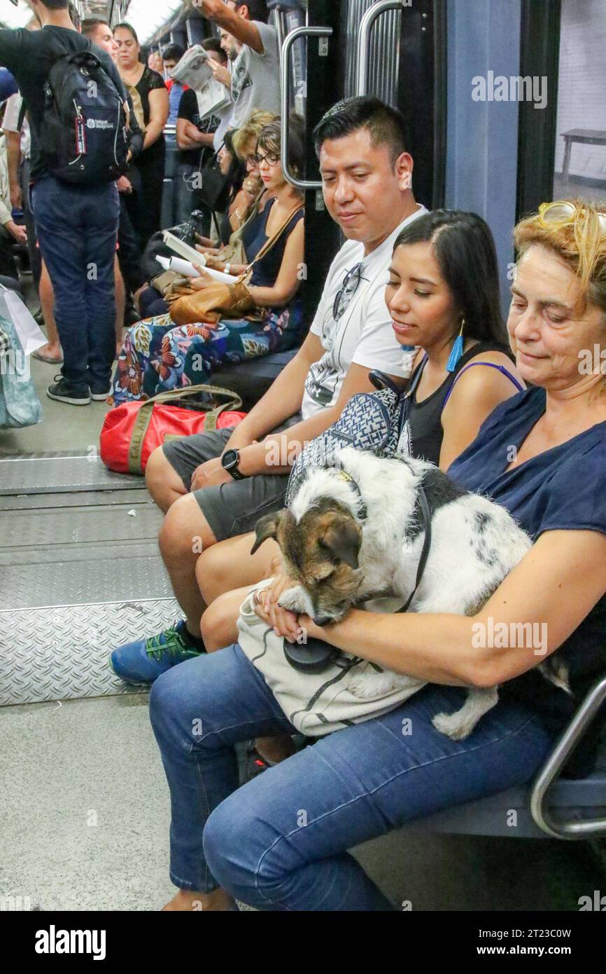 The Meteo, Paris, France Stock Photo - Alamy