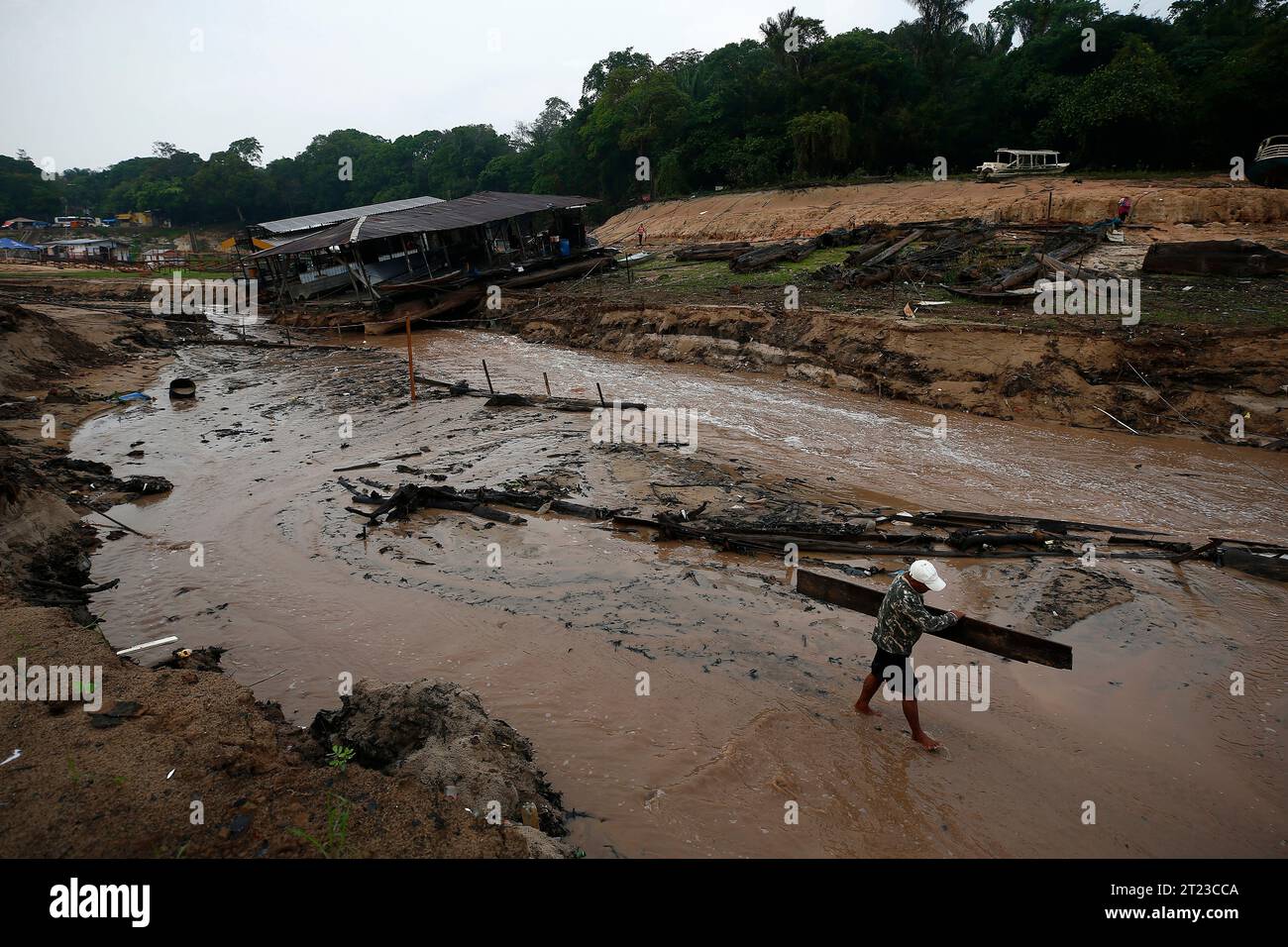 A resident carries wood to help dam up the Negro River river near his ...
