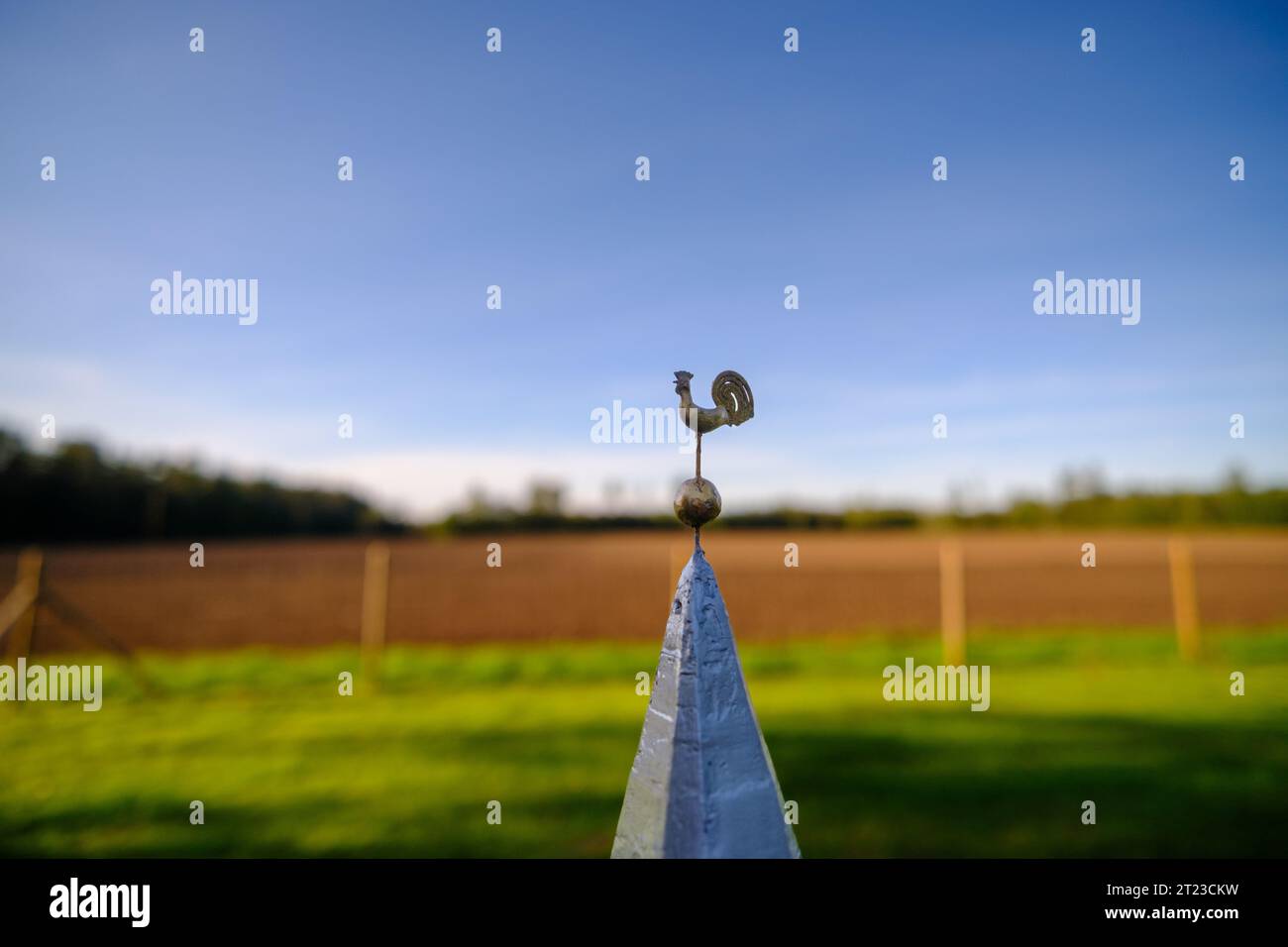 Weather vane in the church tower, here a Lutheran church Stock Photo ...