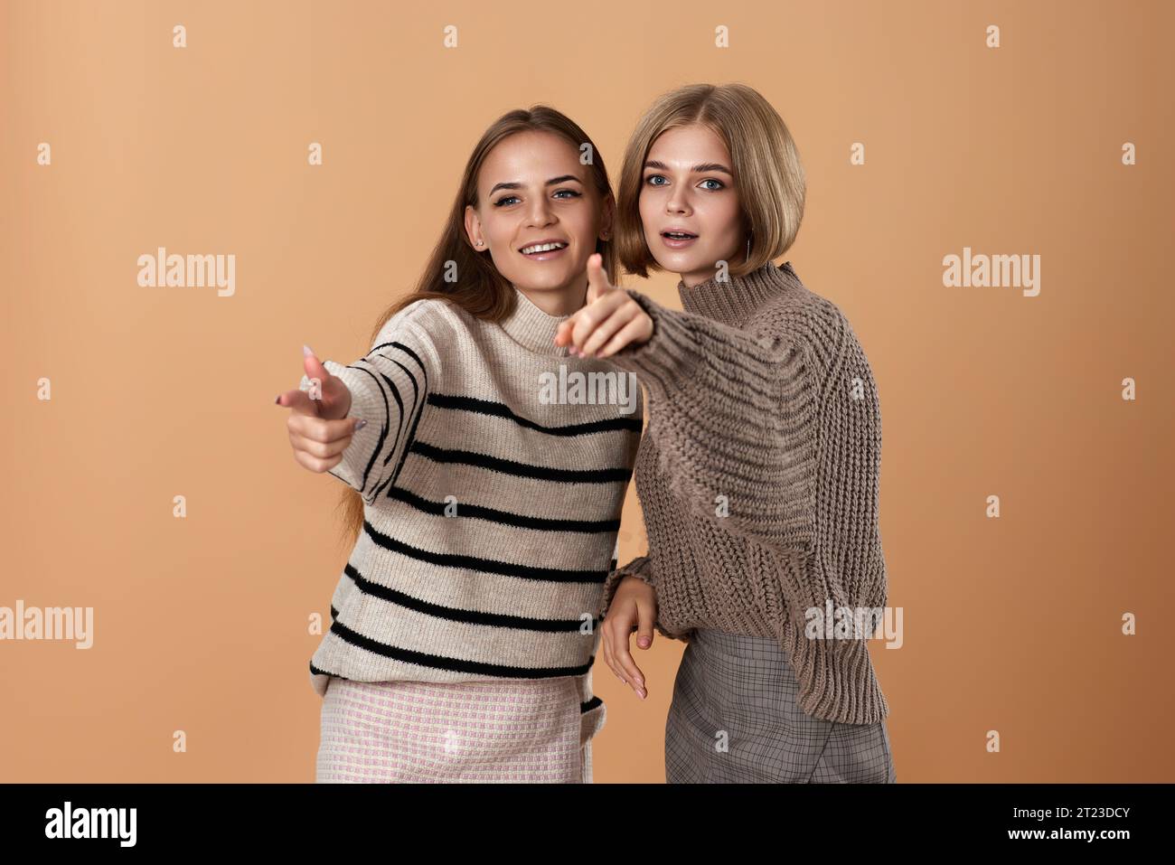 Two cheerful attractive women friends talking together Stock Photo - Alamy