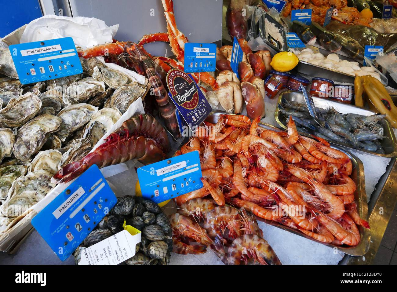 Fresh Seafood Display Featuring Prawns, Oysters, Lobsters, and Other ...