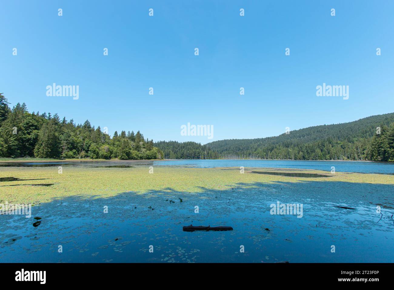 View of Killarney Lake in sunny day. Killarney Lake is a scenic spot in Crippen Regional Park on ...