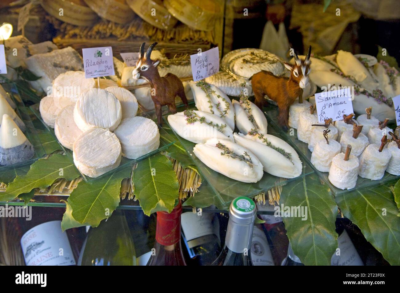 French cheeses on display in shop window Stock Photo - Alamy