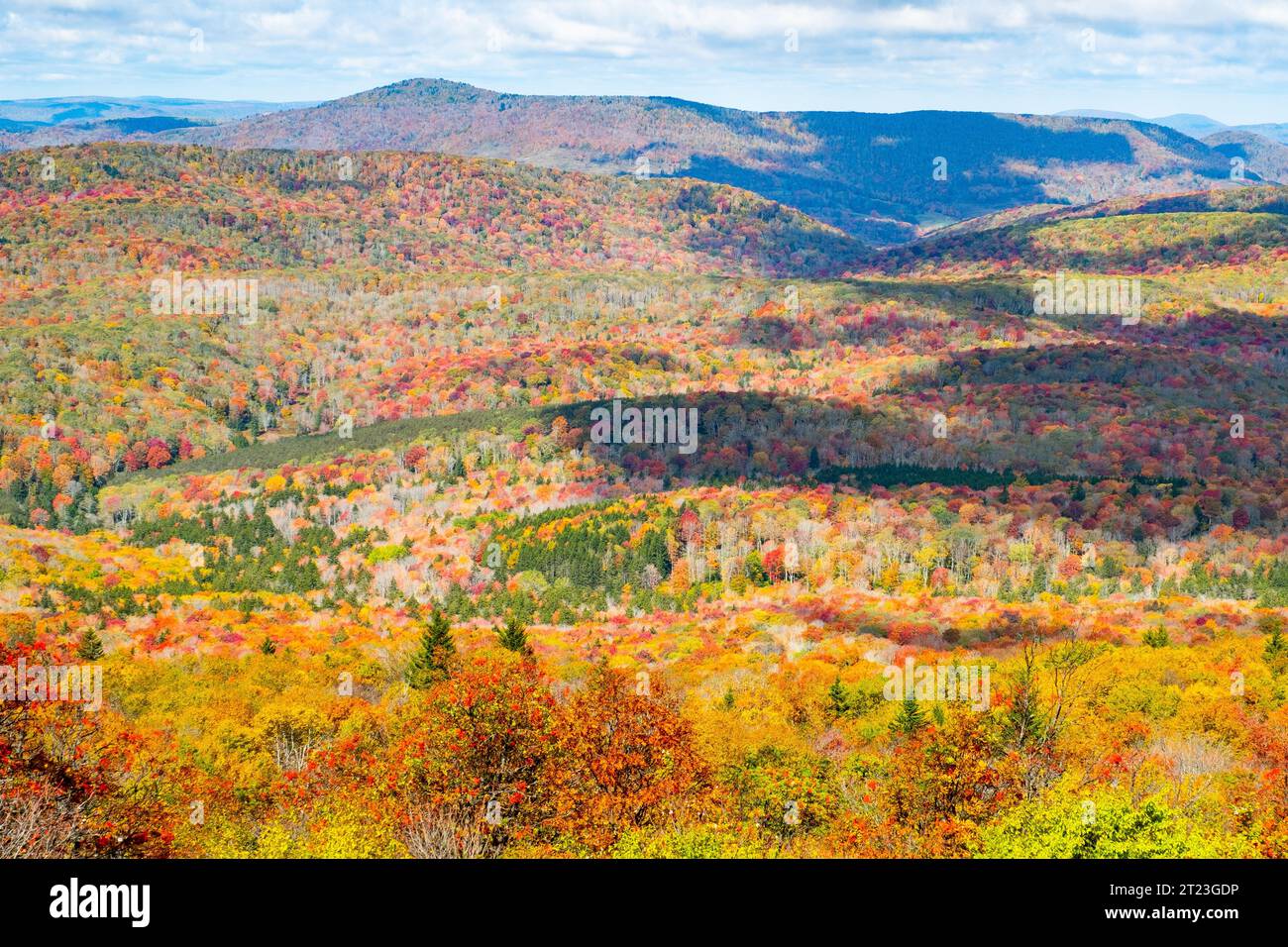 An aerial view of the scenic Appalachian Mountains with lush autumn ...