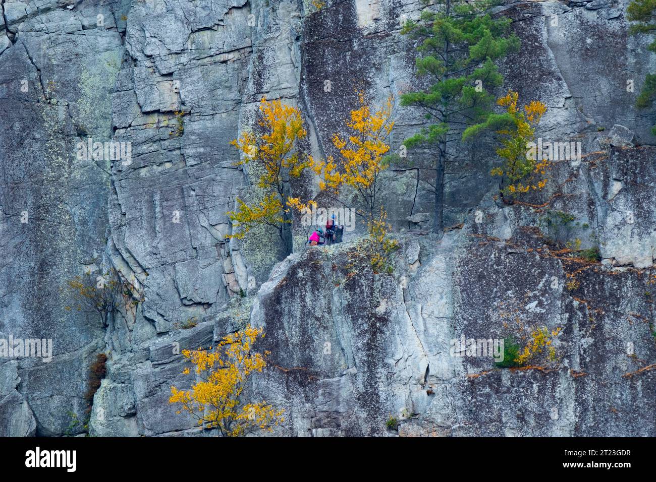 A vertical shot of a rock climber on the Seneca Rocks, West Virginia ...