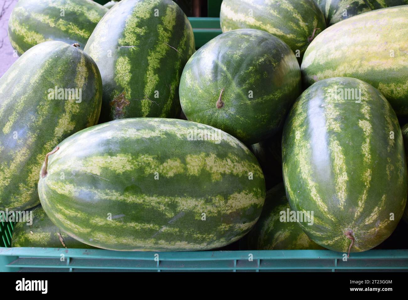 Large fresh watermelons in a box at the market Stock Photo - Alamy