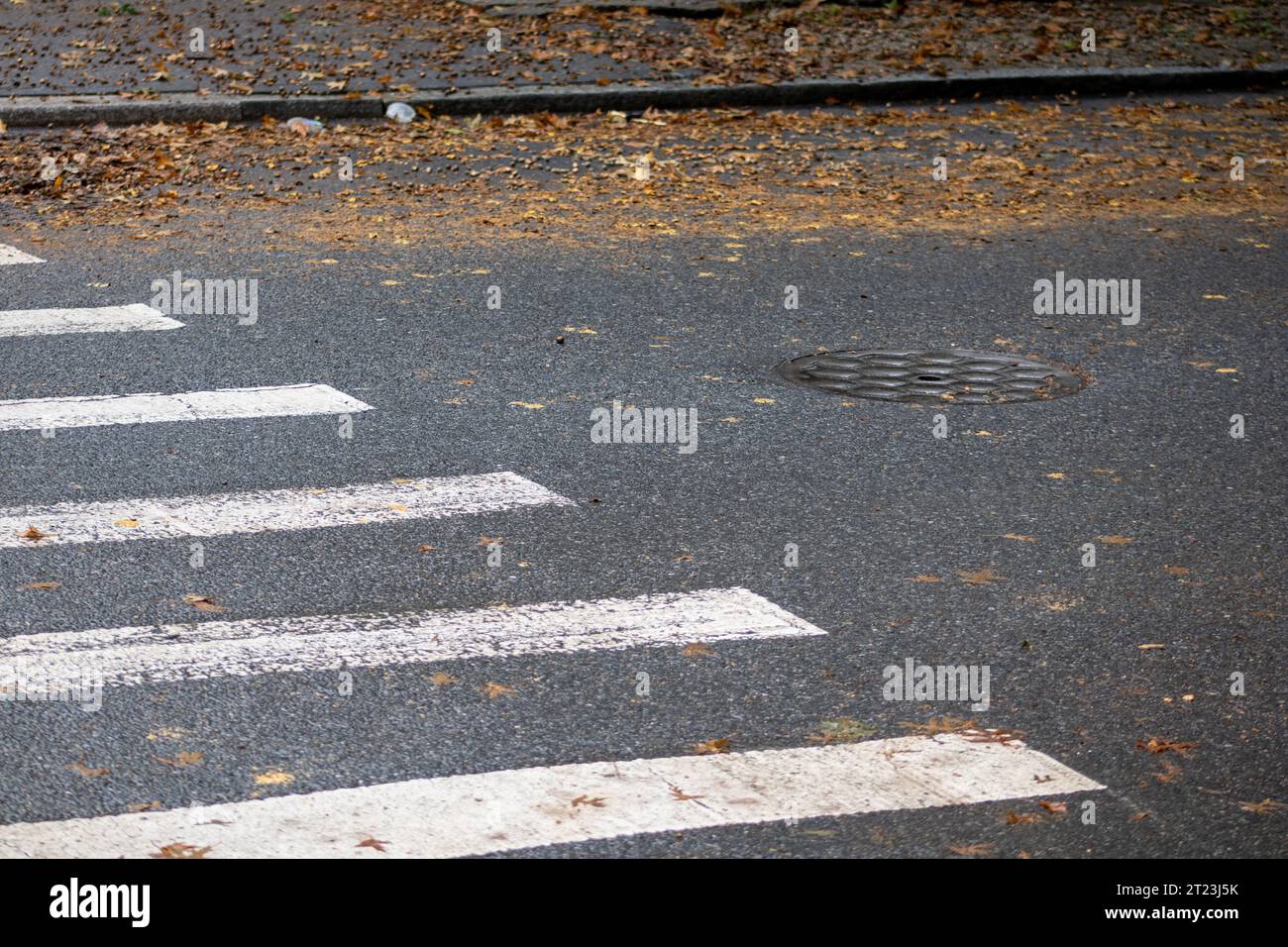 A white painted line marks the edge of the street, curving along the ...