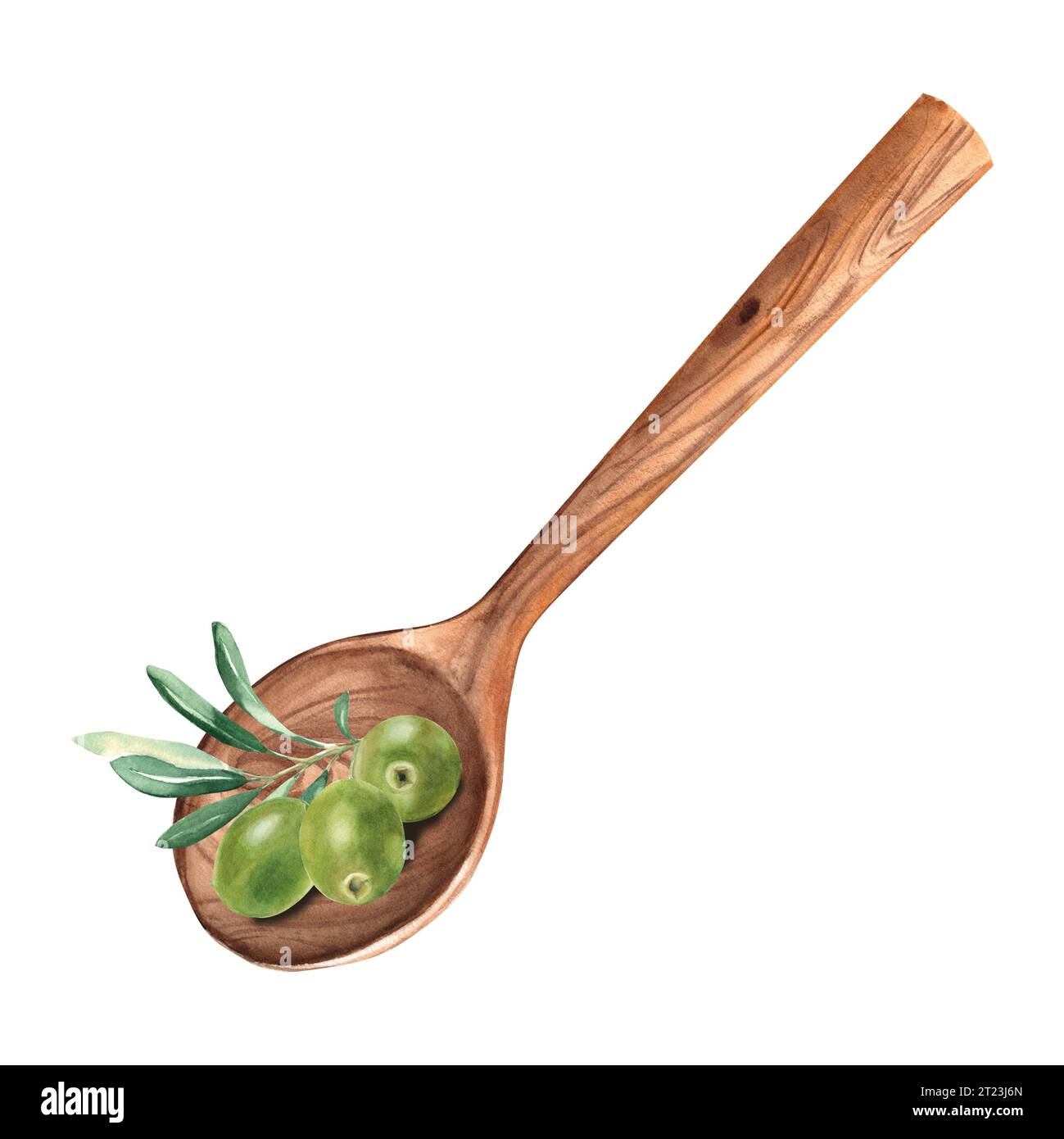 Green olive branch in wooden spoon from top view isolated on white ...