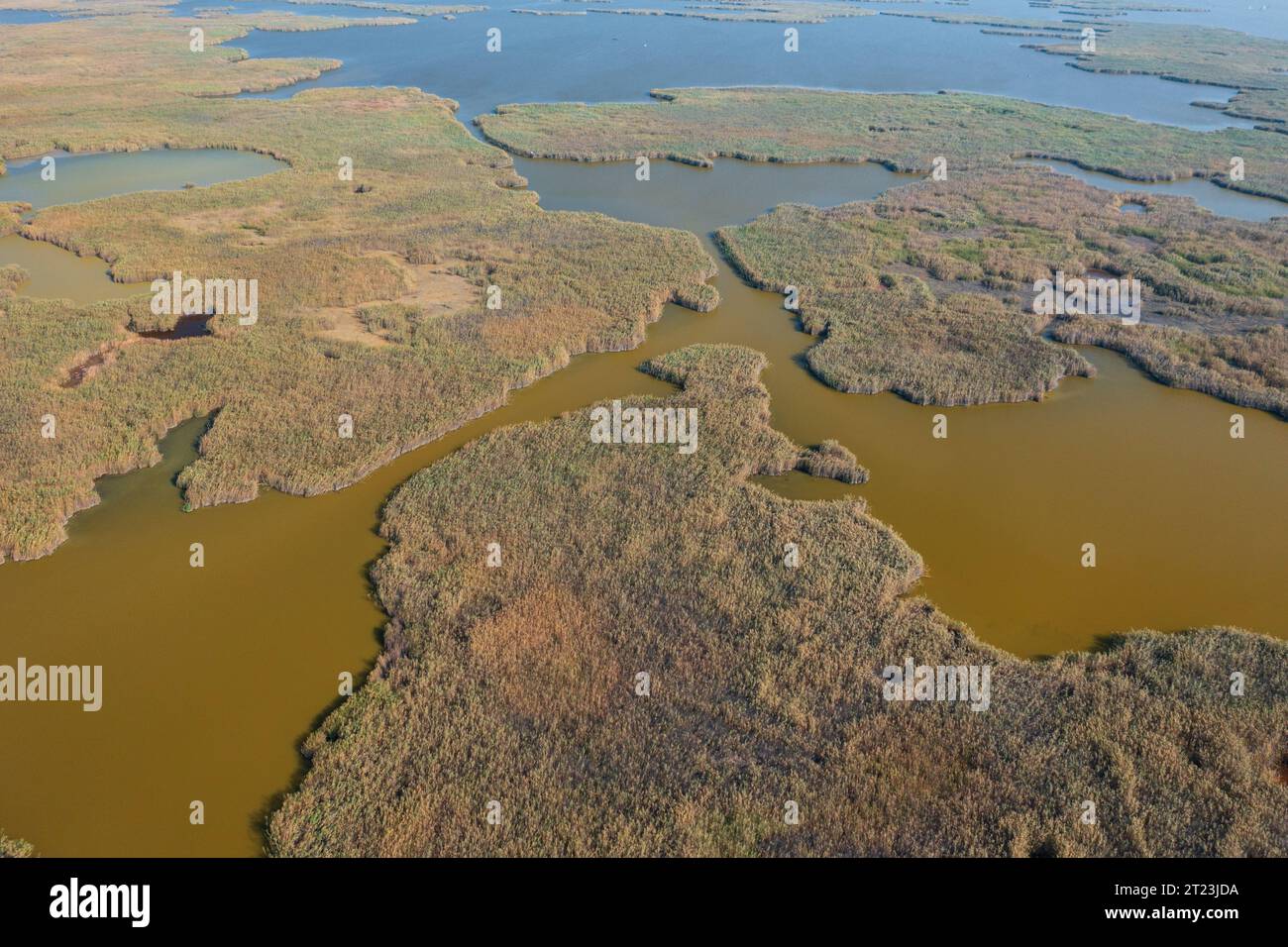 Pakozd, Hungary - Aerial view of reeds texture at lake Velence Stock ...