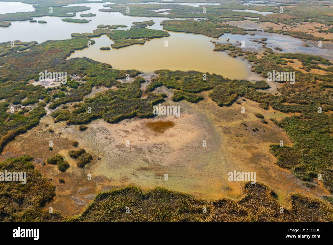 Pakozd, Hungary - Aerial view of reeds texture at lake Velence Stock ...