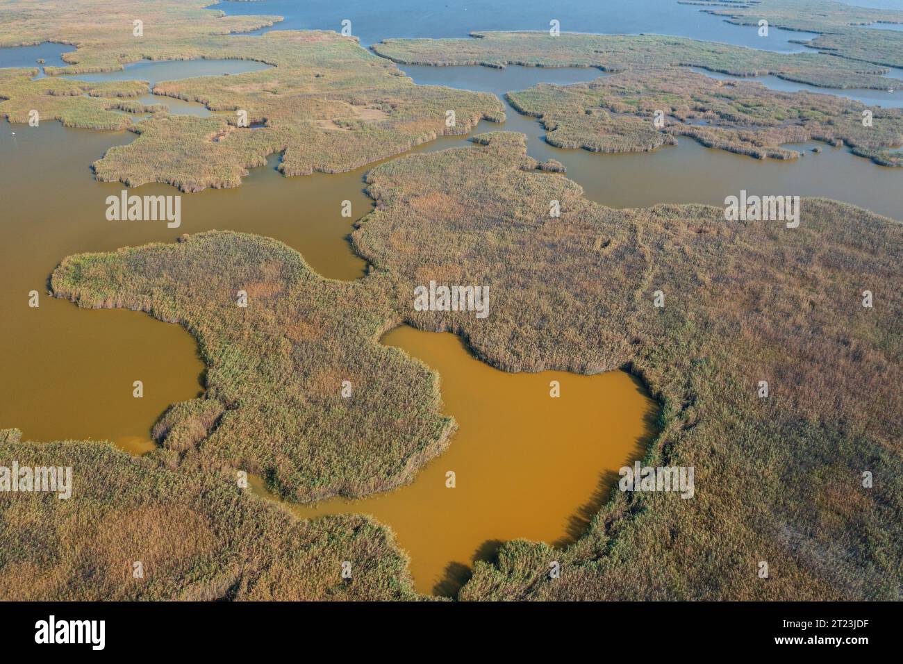 Pakozd, Hungary - Aerial view of reeds texture at lake Velence Stock ...