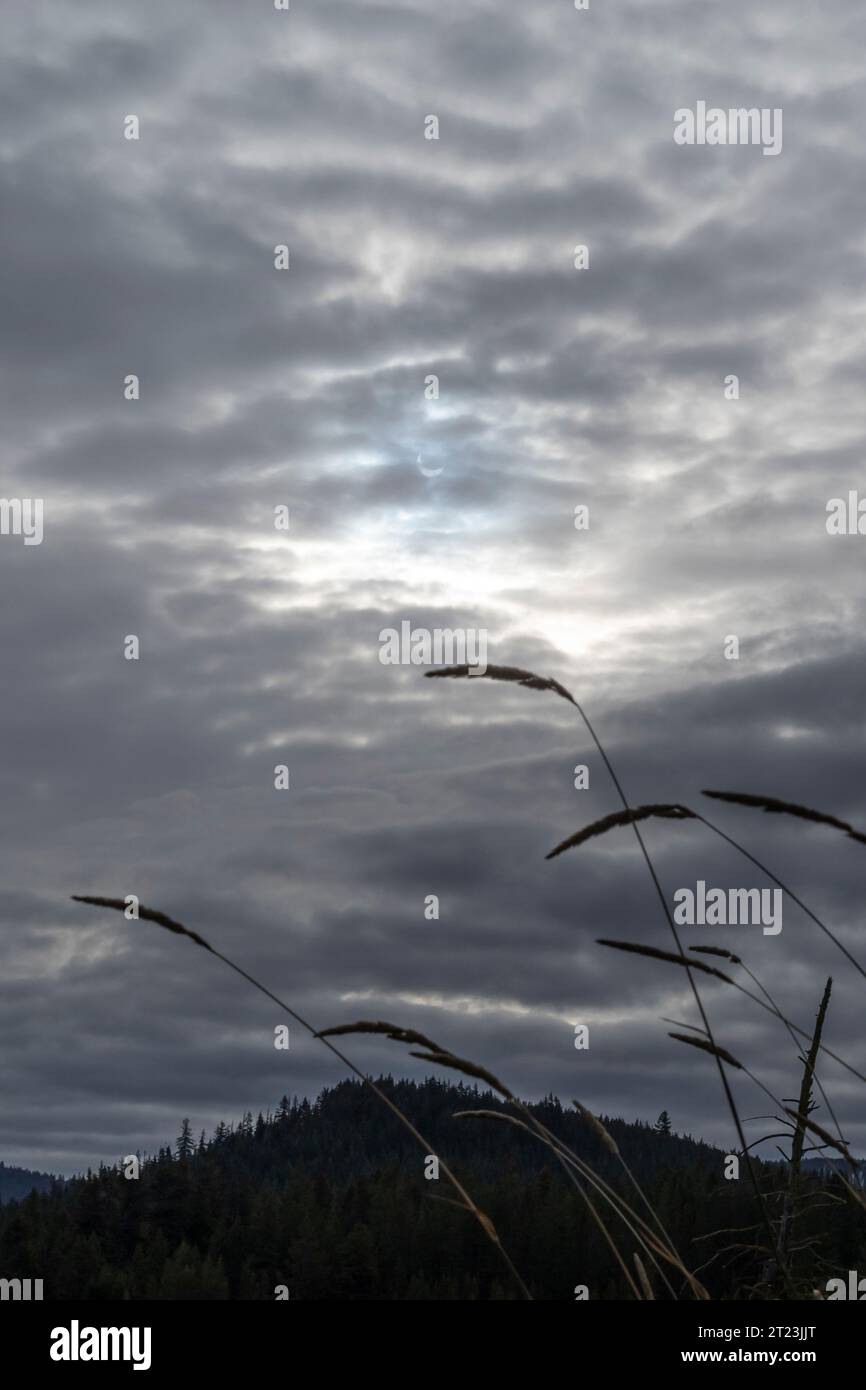 The annular eclipse on October 14th 2023 in Central Oregon, as seen ...