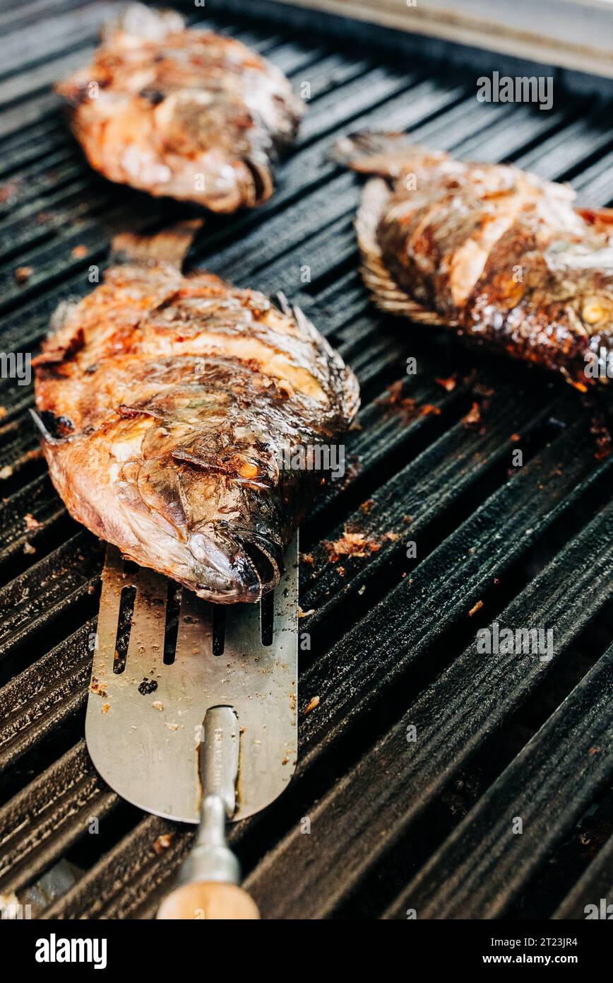 Grilled fish on a barbecue with a spatula in focus Stock Photo - Alamy