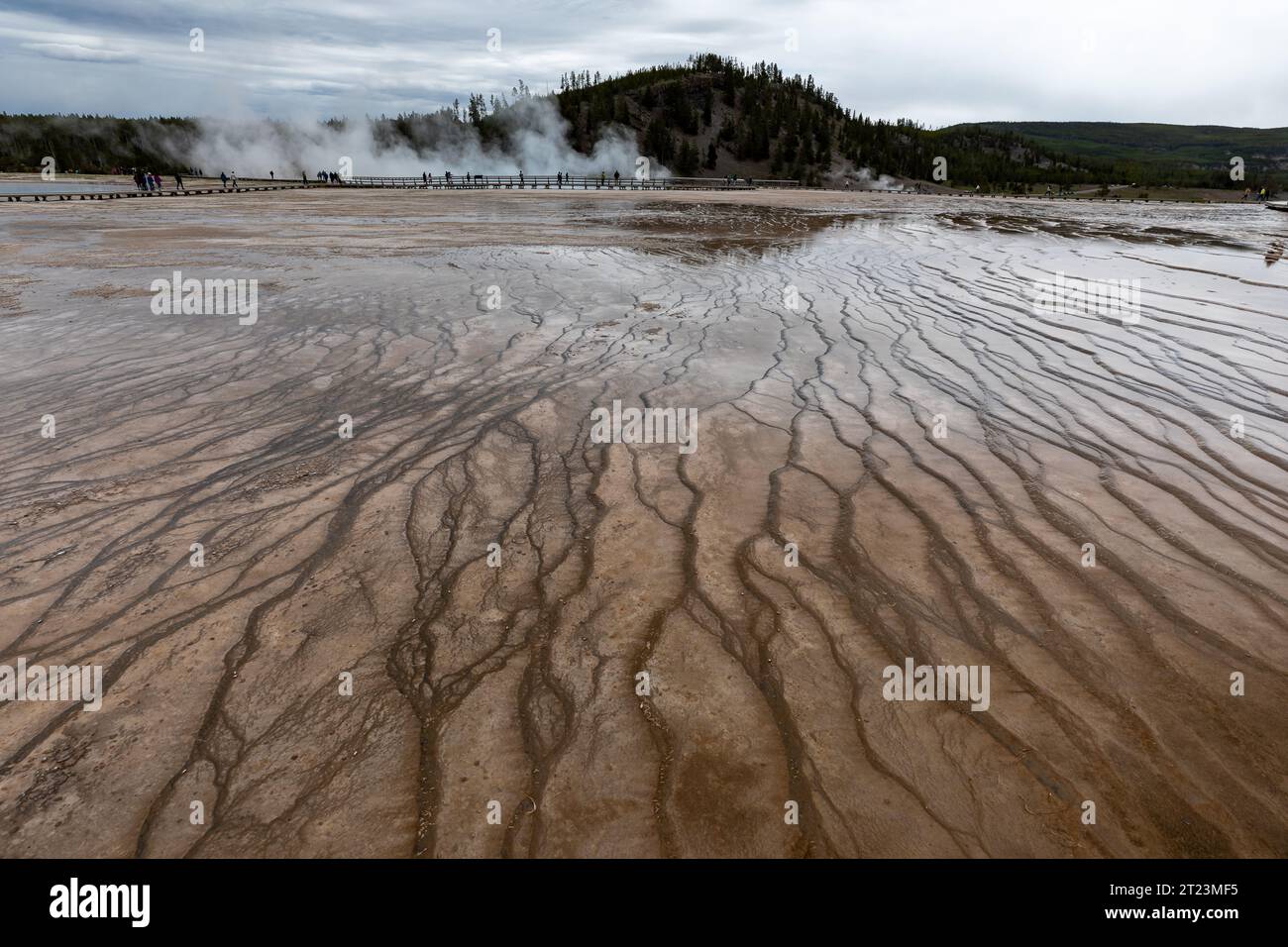 Brown drainage pattern of mineral pool runoff of hot springs Stock ...