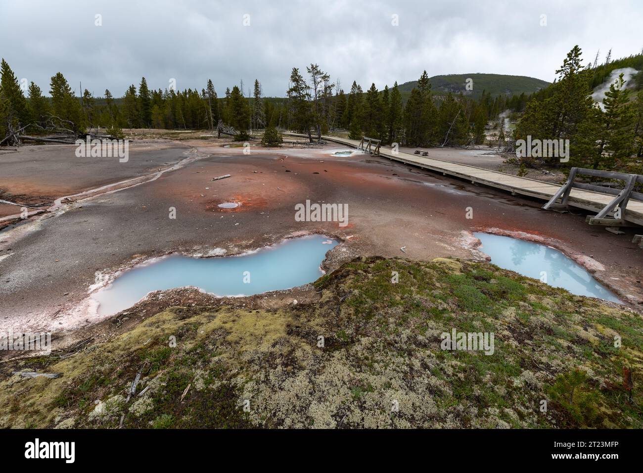 Turquoise blue hot spring pools in the red flats Stock Photo - Alamy