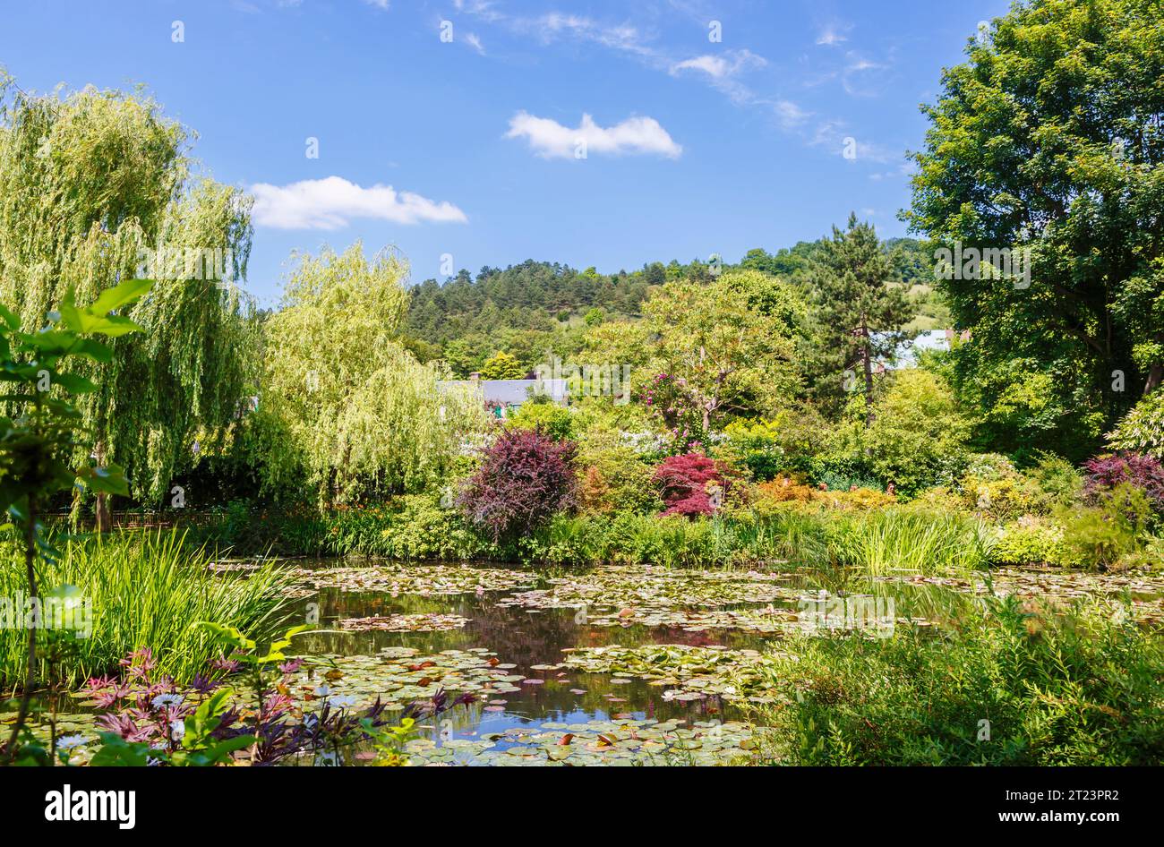 The iconic Water Lily Pond with water lilies and trees at Giverny, the ...