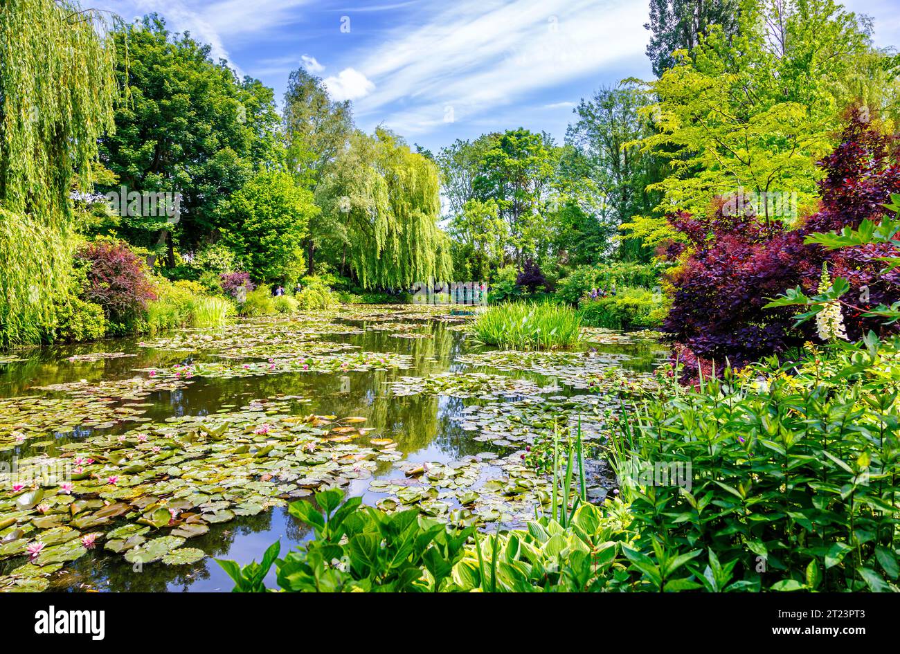 The iconic Water Lily Pond with water lilies and trees at Giverny, the ...