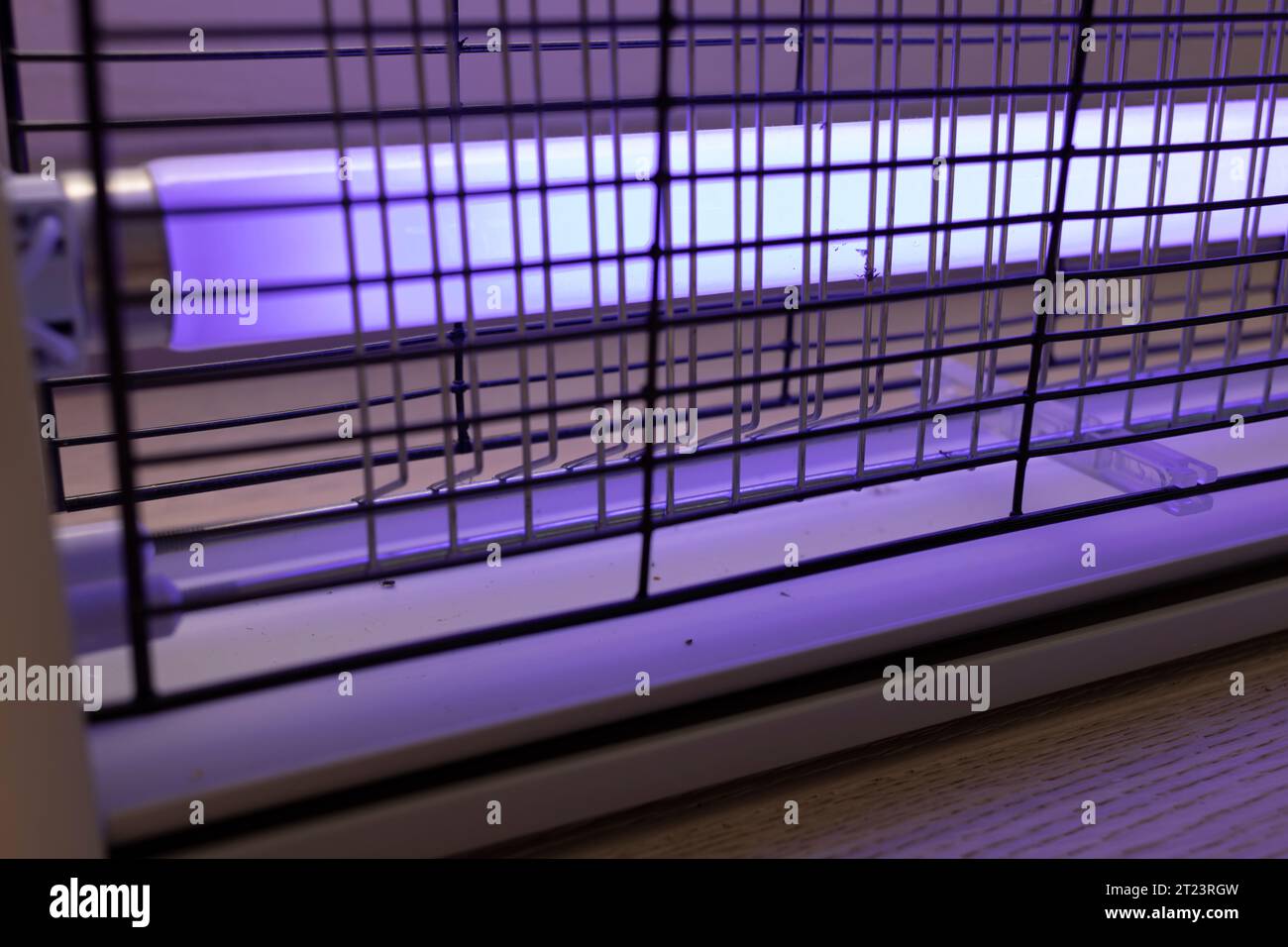 Insect killer light hi-res stock photography and images - Alamy